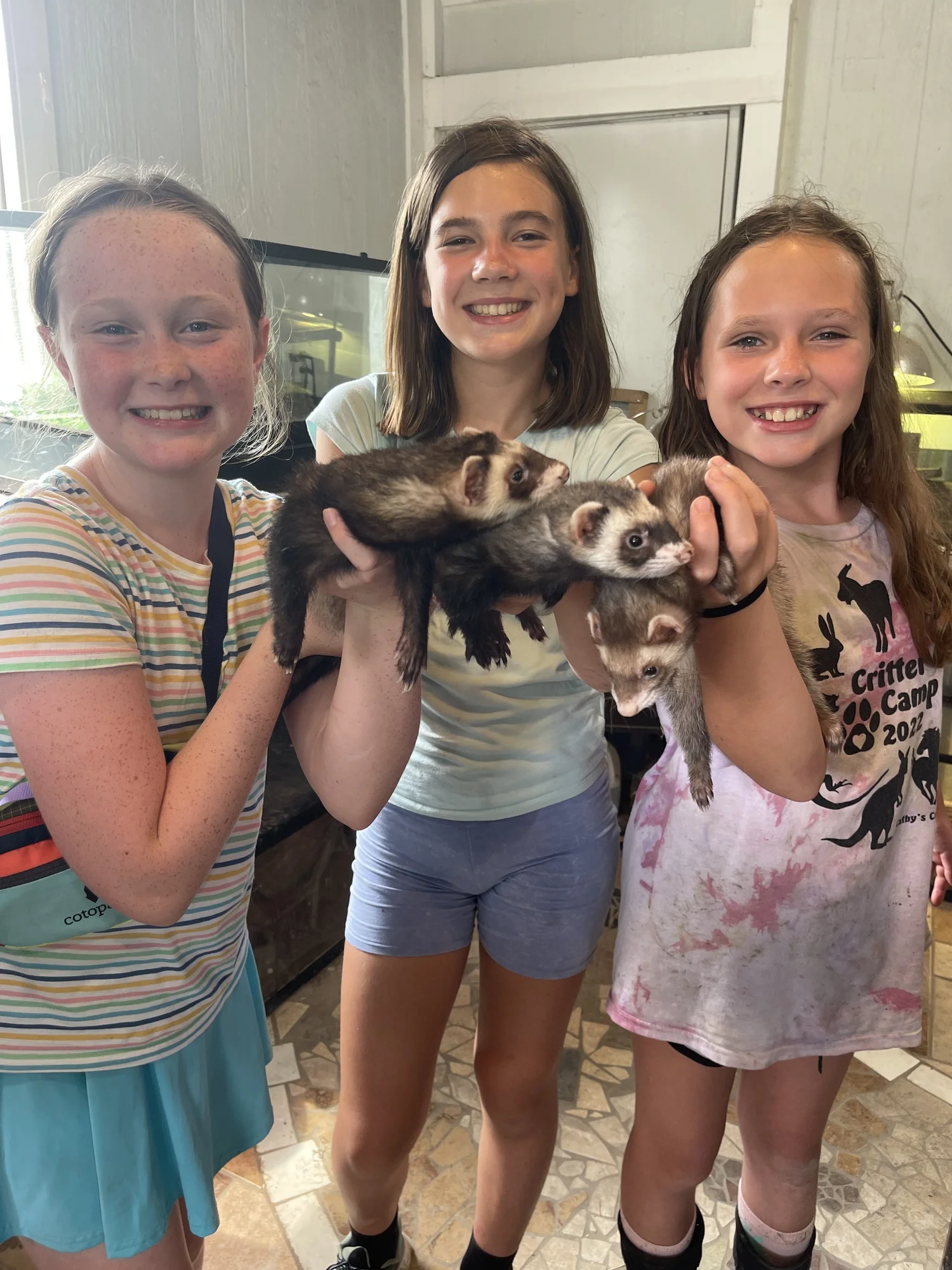 Critter Camp — Cathy's Critters