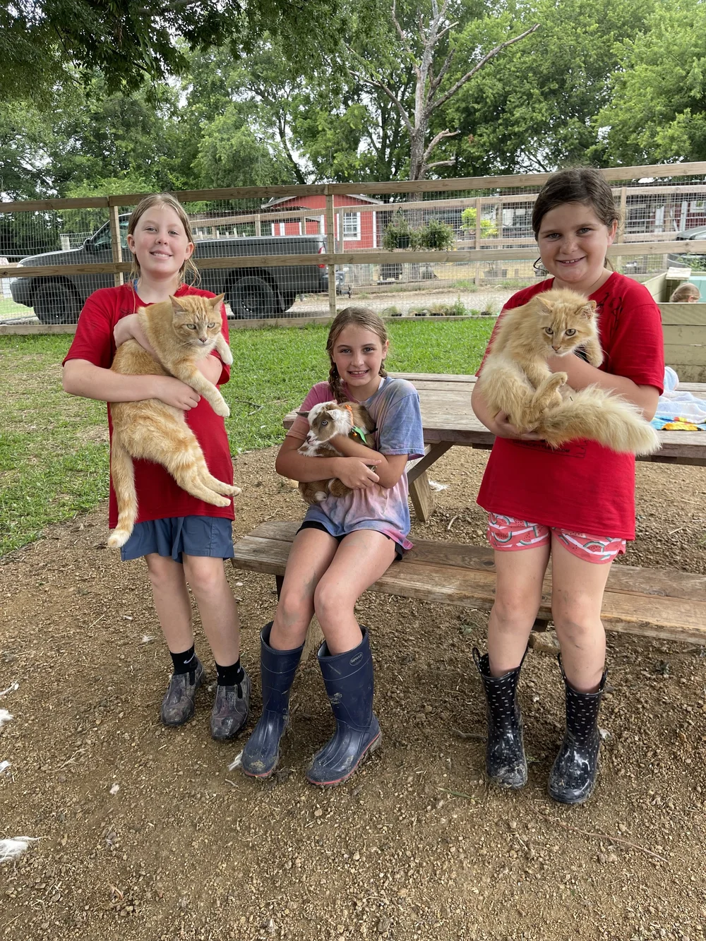 Critter Camp — Cathy's Critters