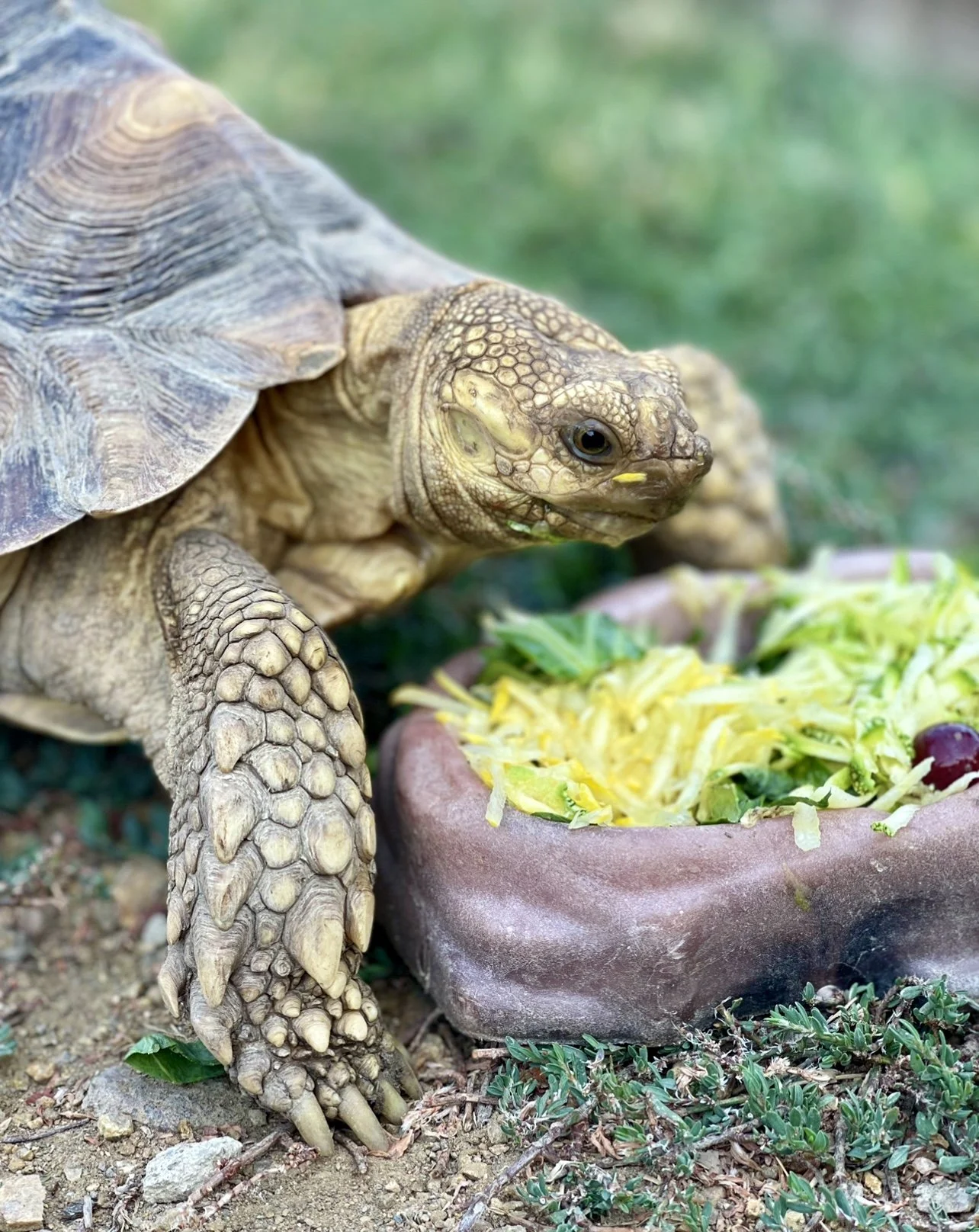 Gallery | Visit, Experience, Enjoy! — Cathy's Critters