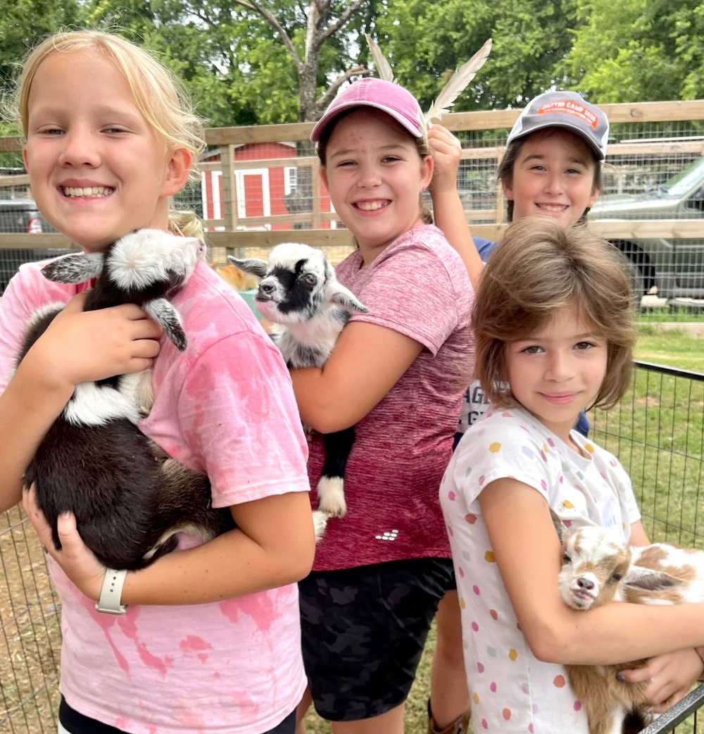 Critter Camp — Cathy's Critters