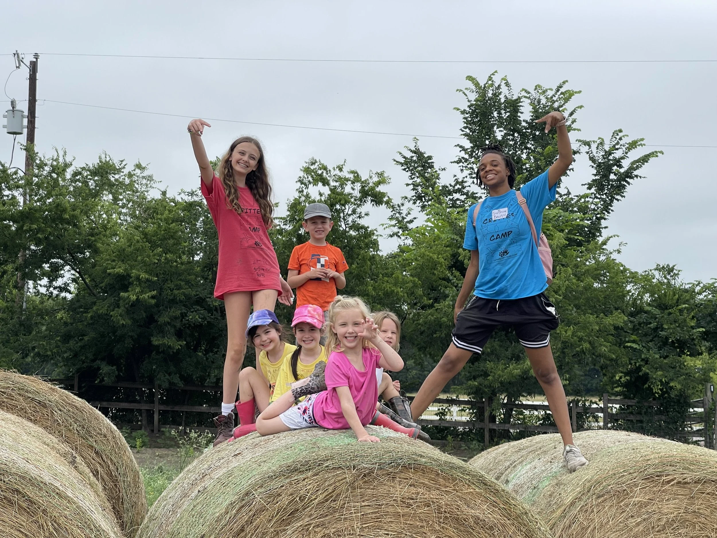 Critter Camp — Cathy's Critters