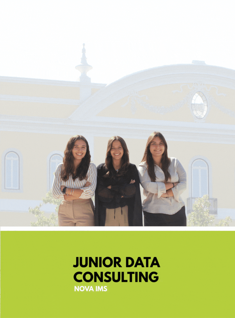 Junior Data Consulting