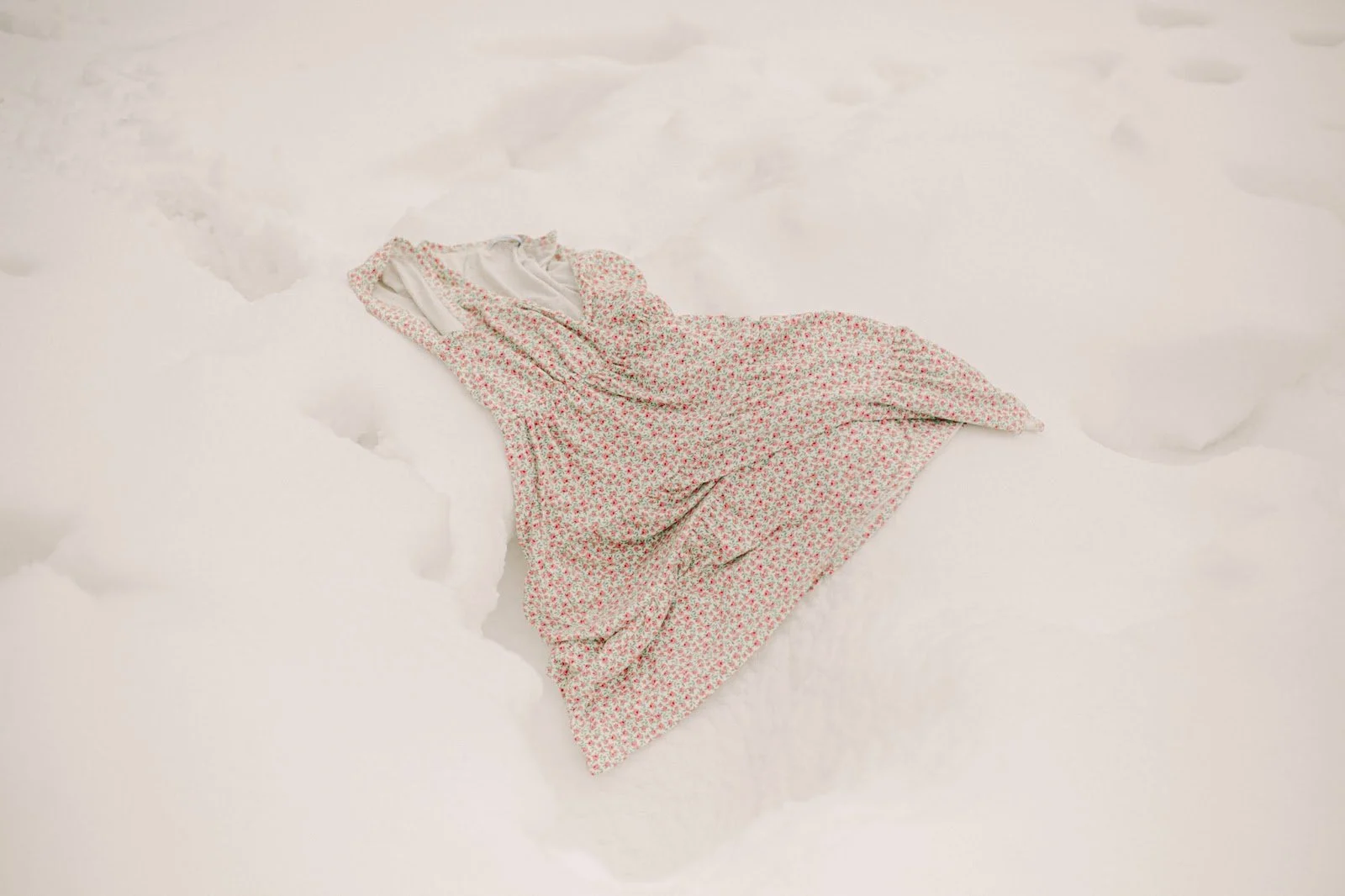 Eve (2021) — Dani Van Winkle