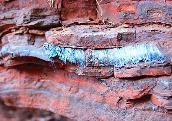 General 1 — Alpine Environmental Services