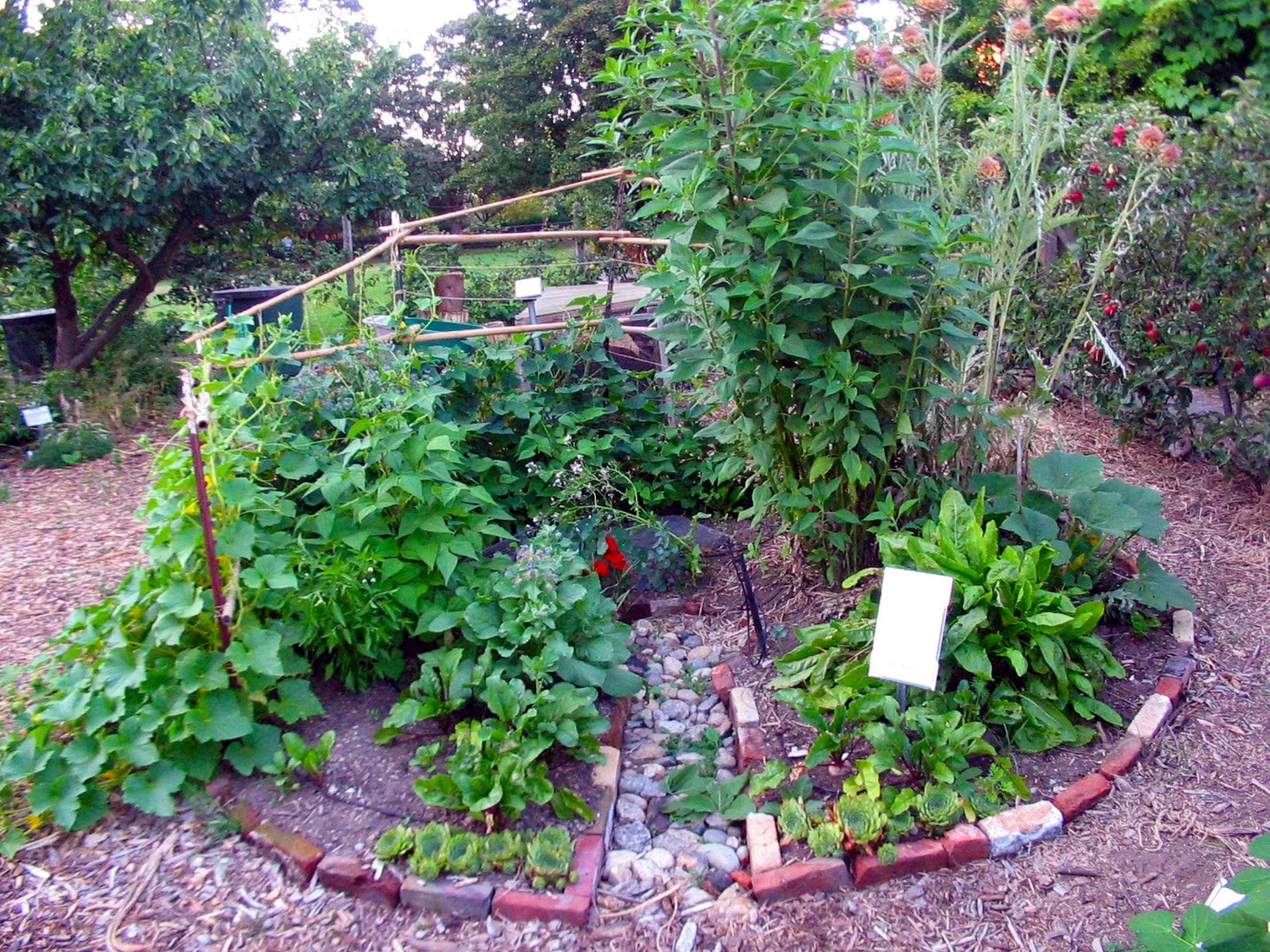 Events and Classes — Beacon Food Forest