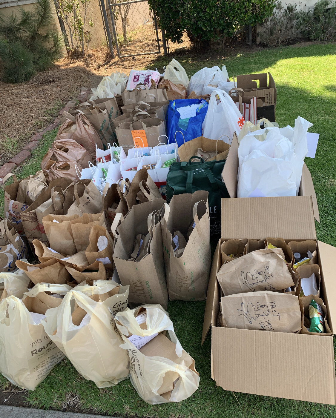 Lunch Drive — Hang out Do Good