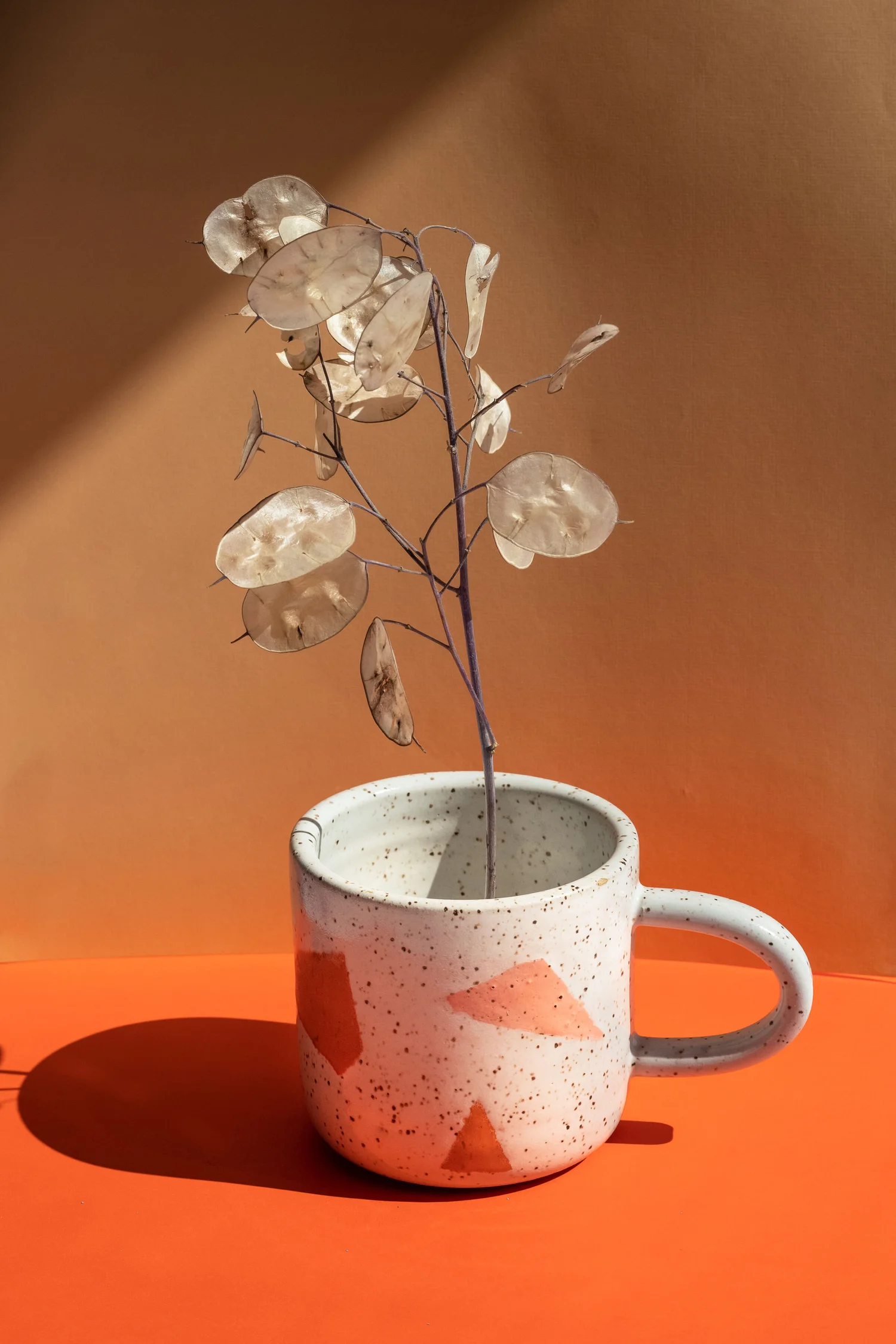 Alexandria Cummings Ceramics