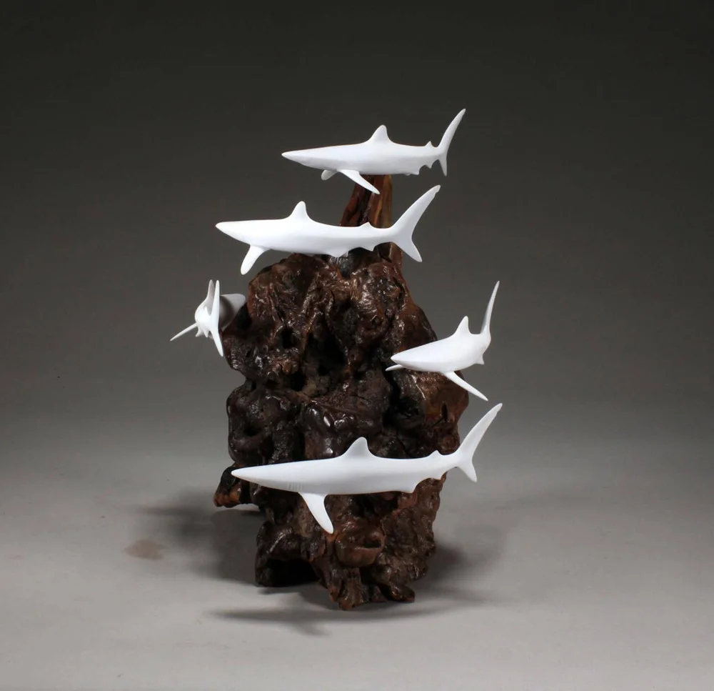 Sharks — All Items — JOHN PERRY STUDIO