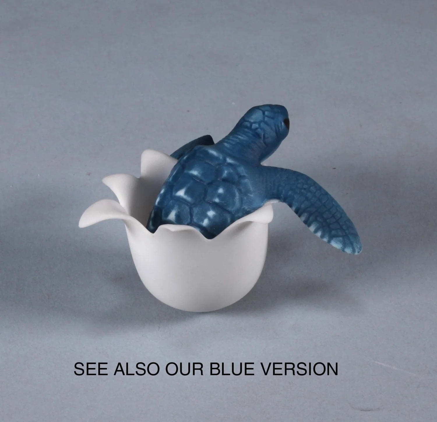 Turtles — All Items — JOHN PERRY STUDIO