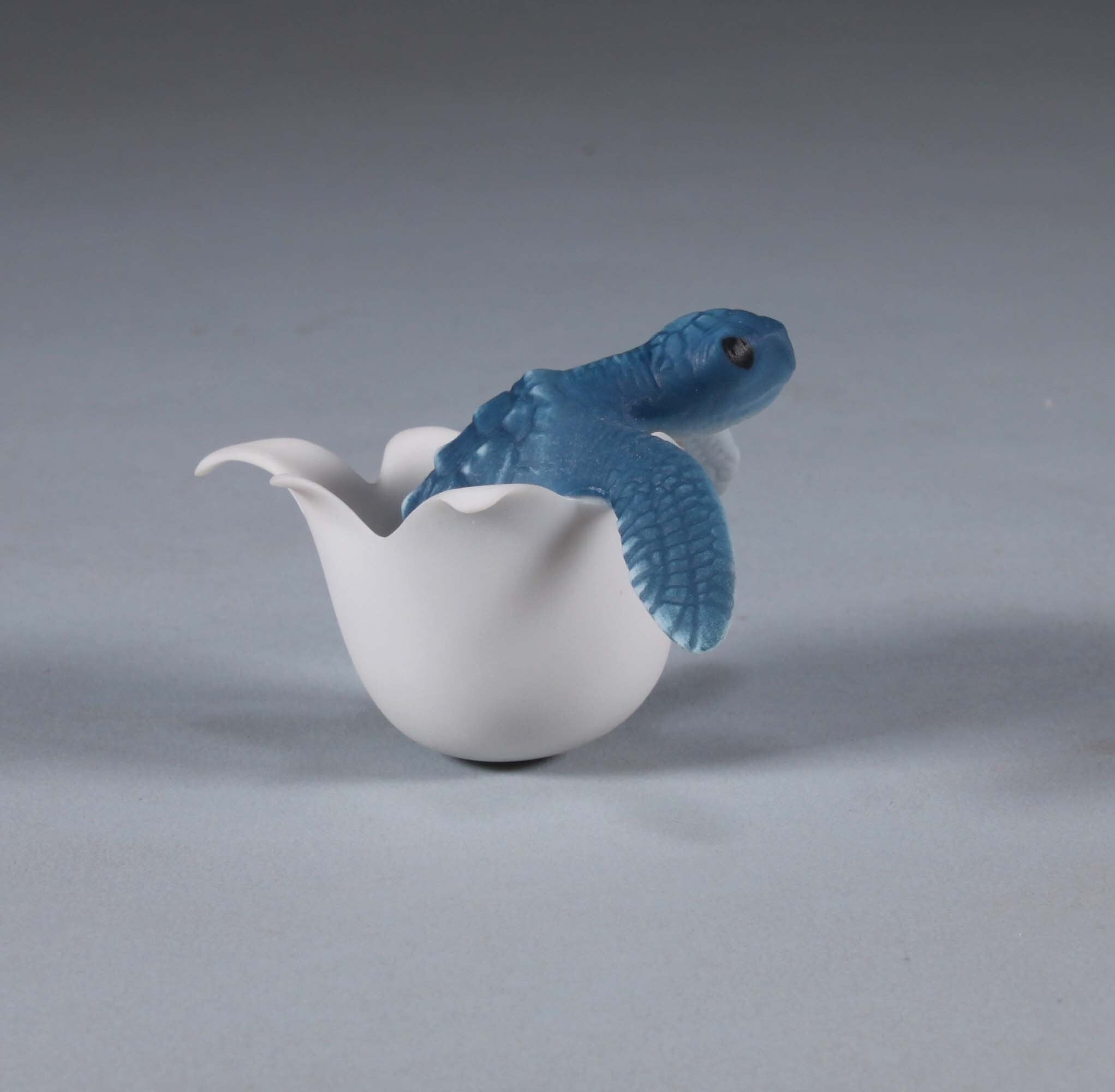 Turtles — All Items — JOHN PERRY STUDIO