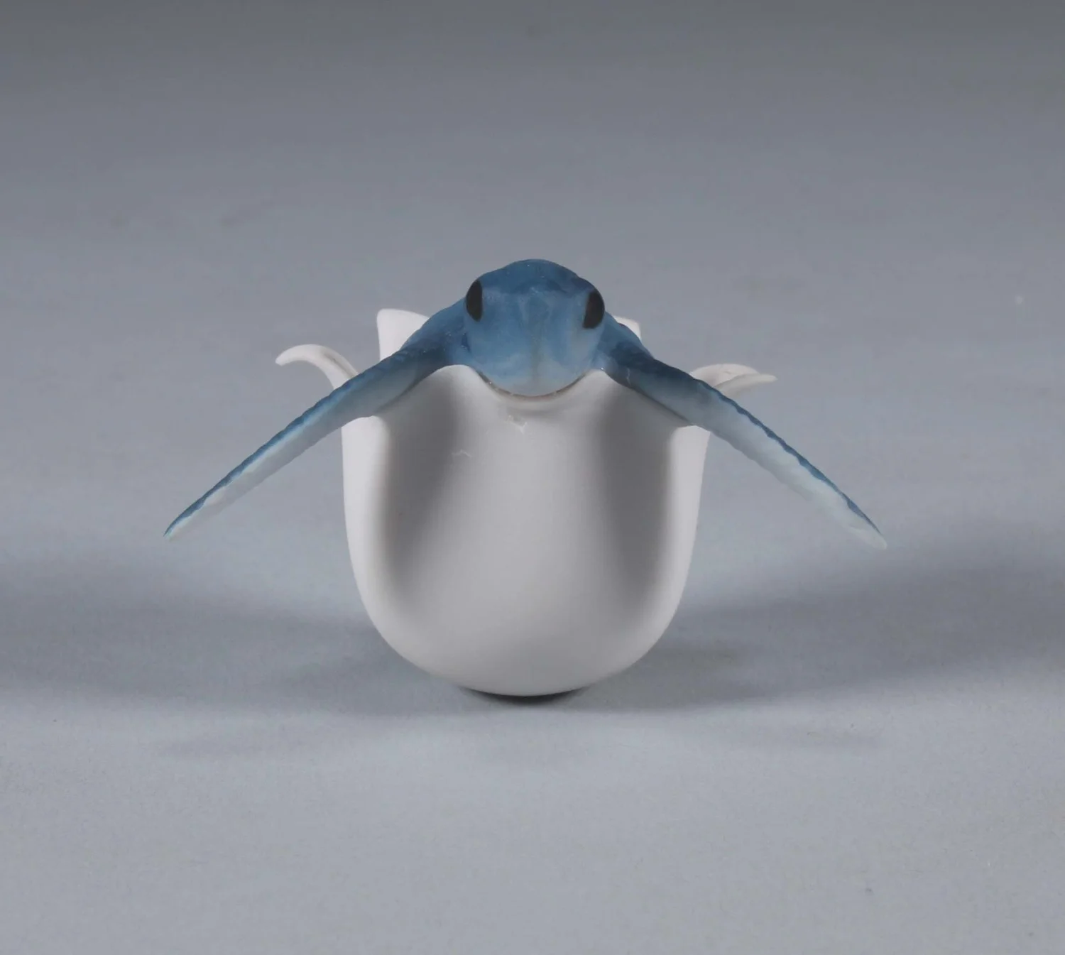 Turtles — All Items — JOHN PERRY STUDIO