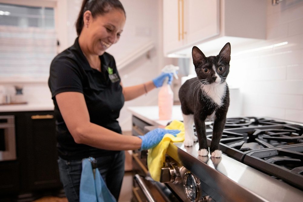 Maid Services in Oklahoma City & Edmond, OK | King’s Green Cleaning