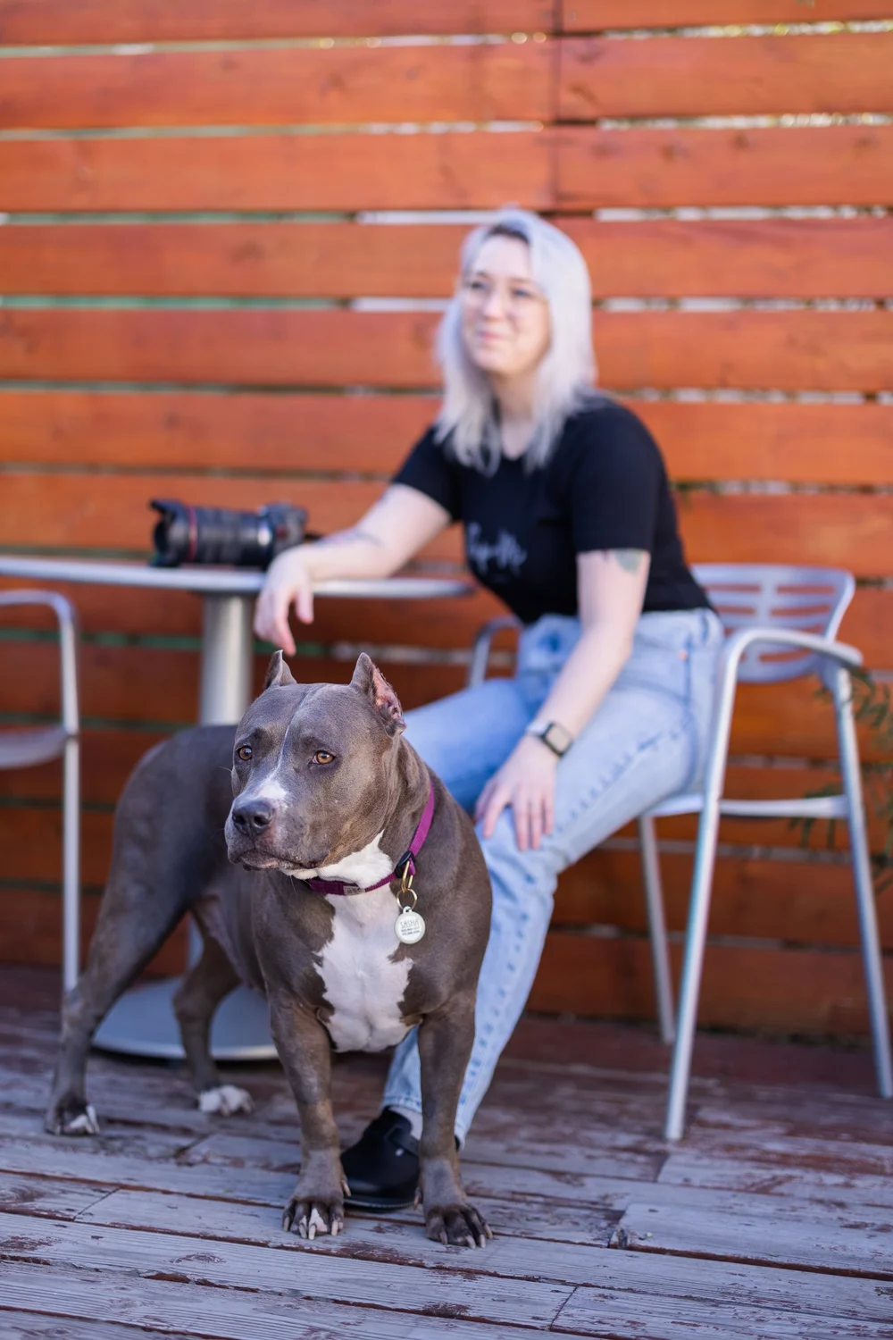 How Simple Sales by Annemie Tonken Changed My Business — Pup + Me