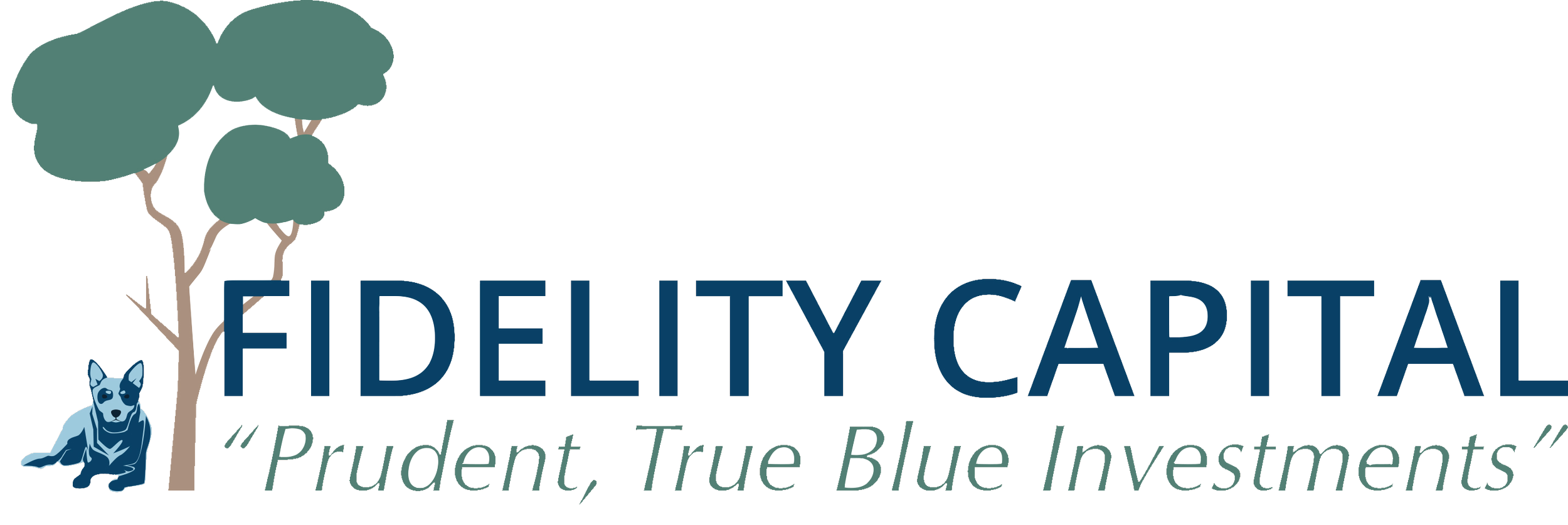 Fidelity Capital
