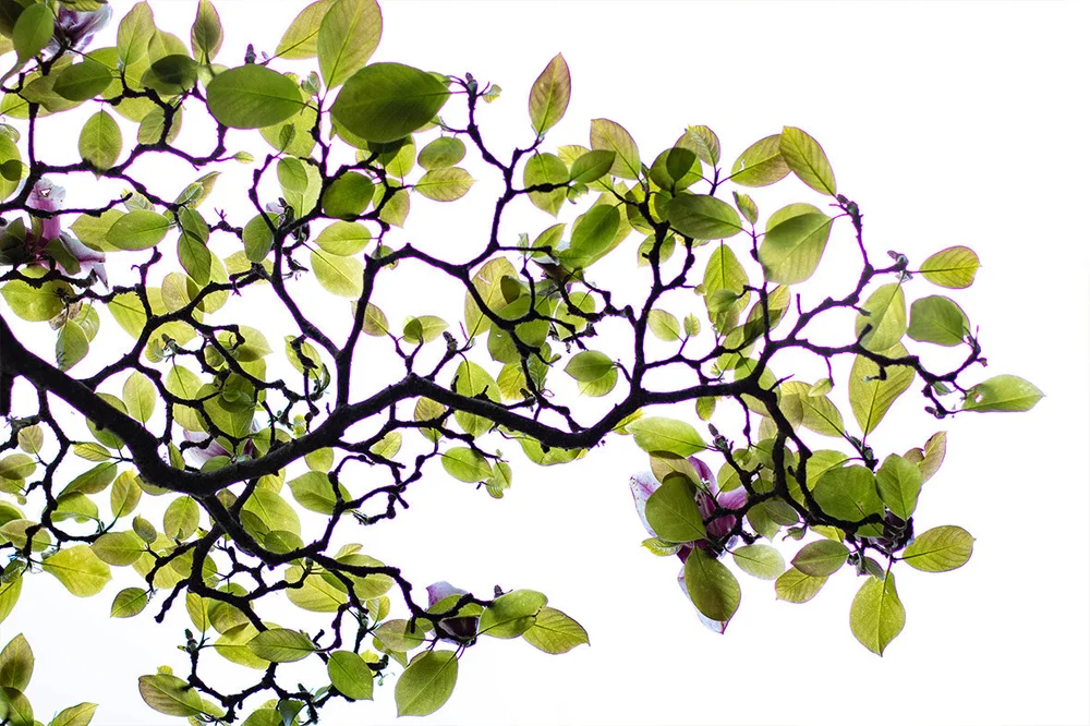 Community — Christian Community Church