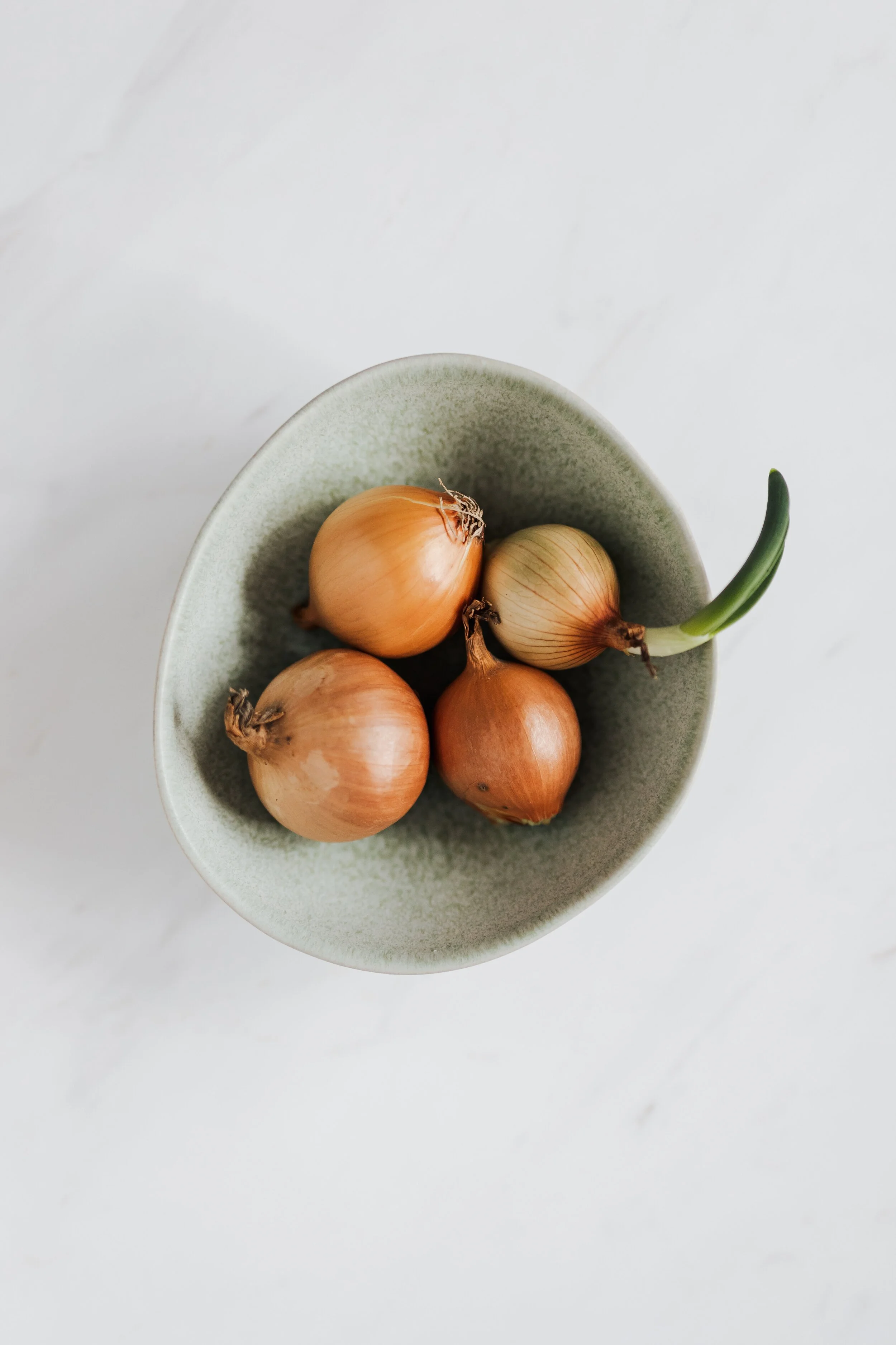 The low down on Prebiotics and Probiotics — Natural Spoonfuls