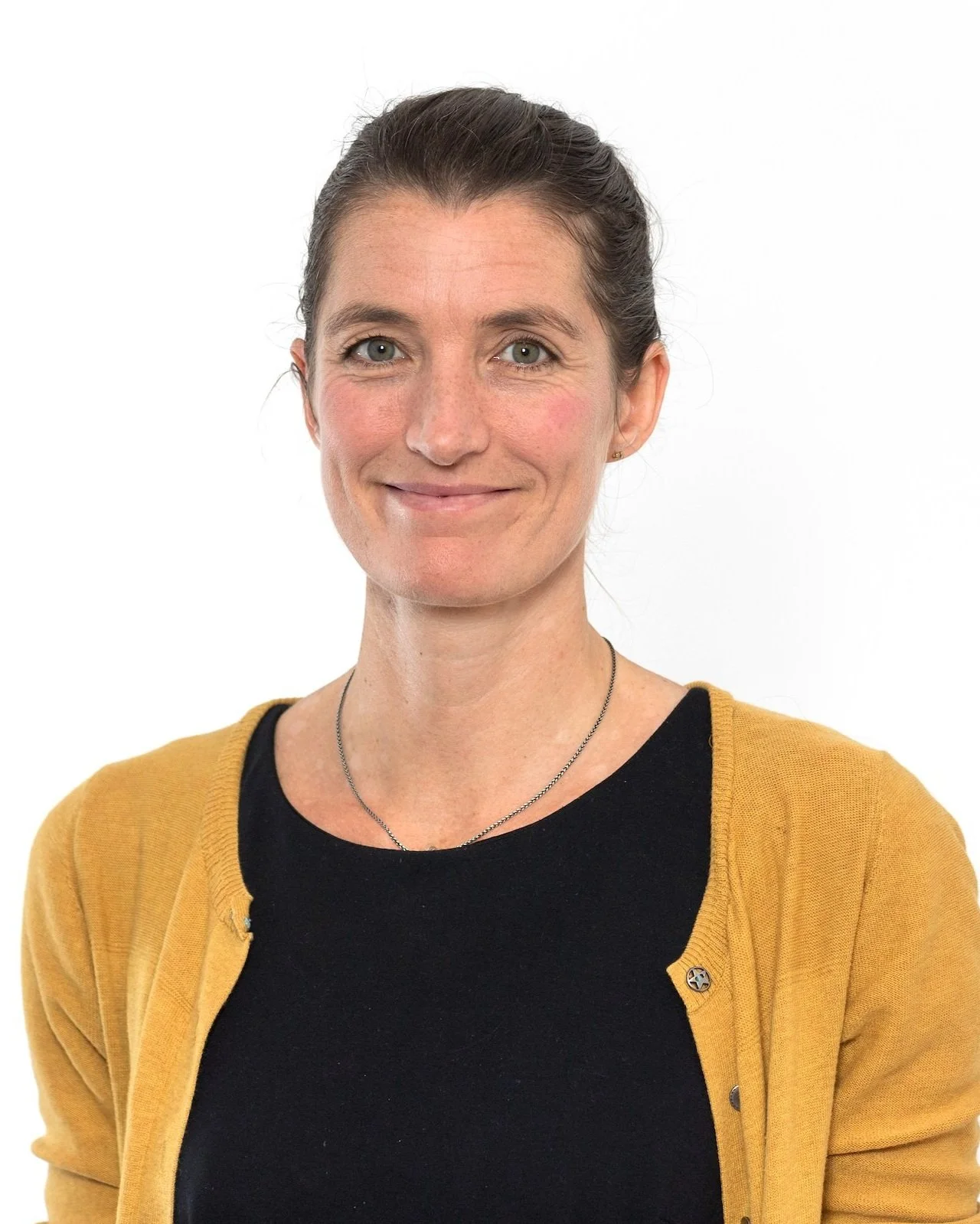 About Us — Olsberg SPI