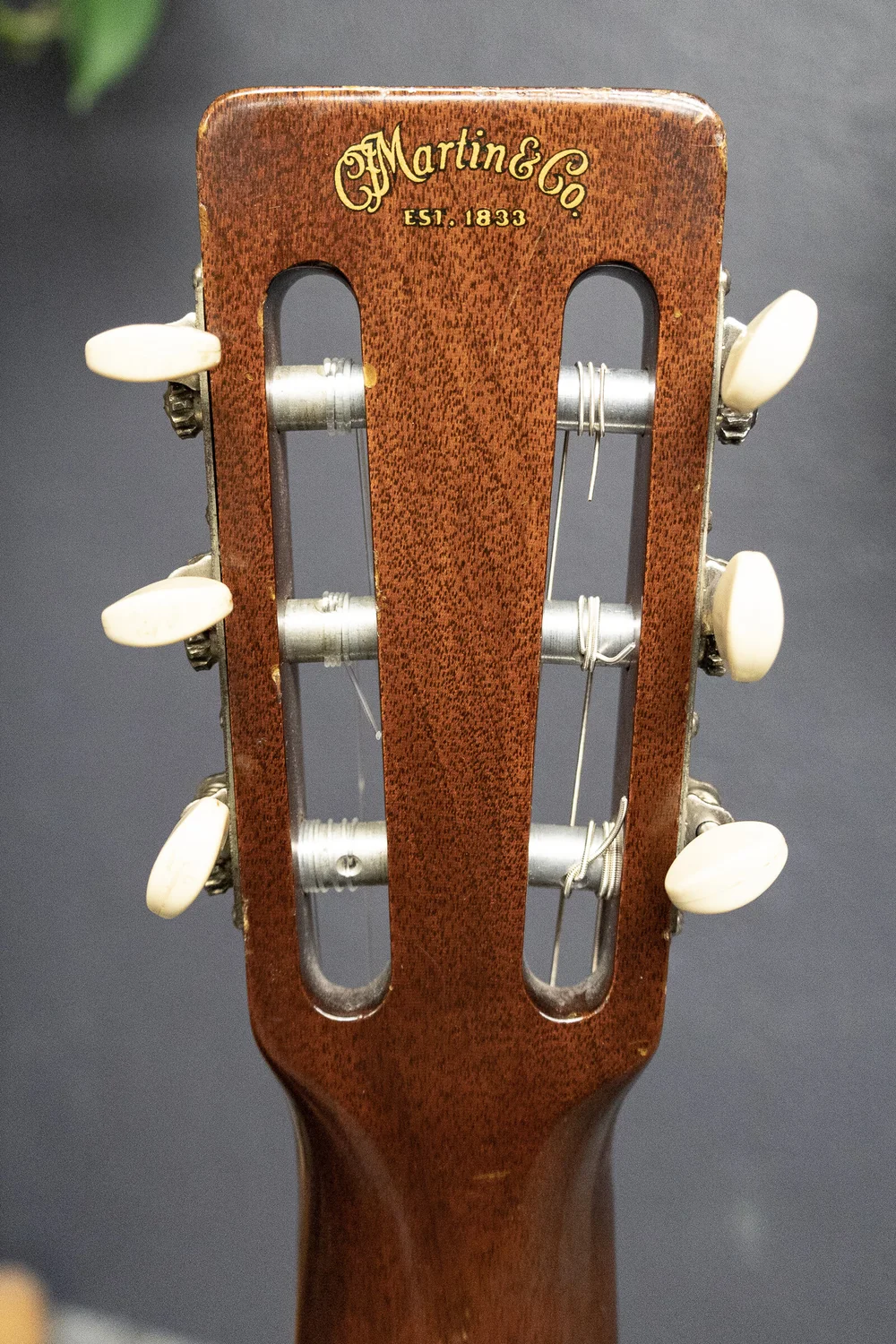 Martin Guitar Headstock