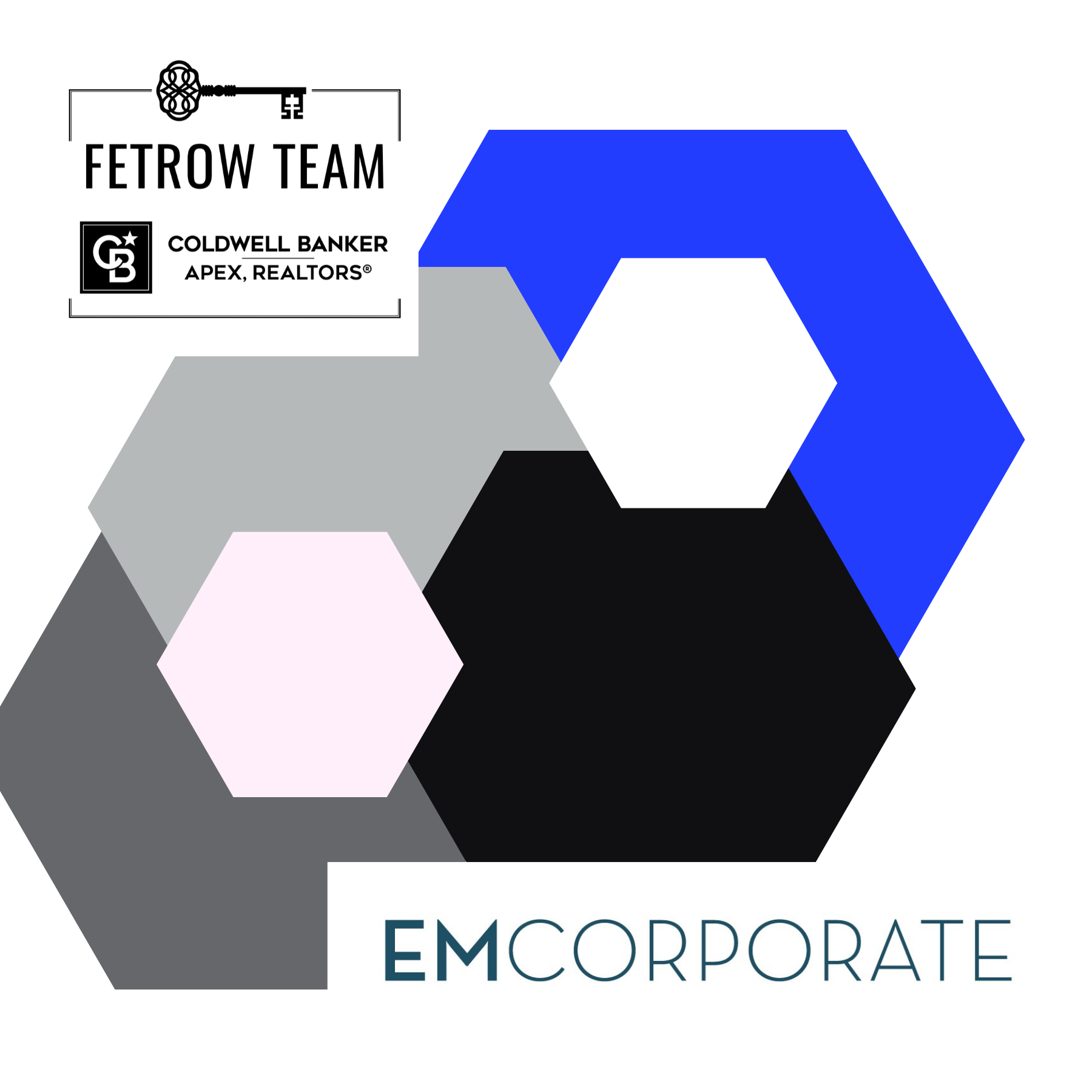 TEAM PHOTO COLOR BOARDS — Mckinney Professional Headshot Photography ...