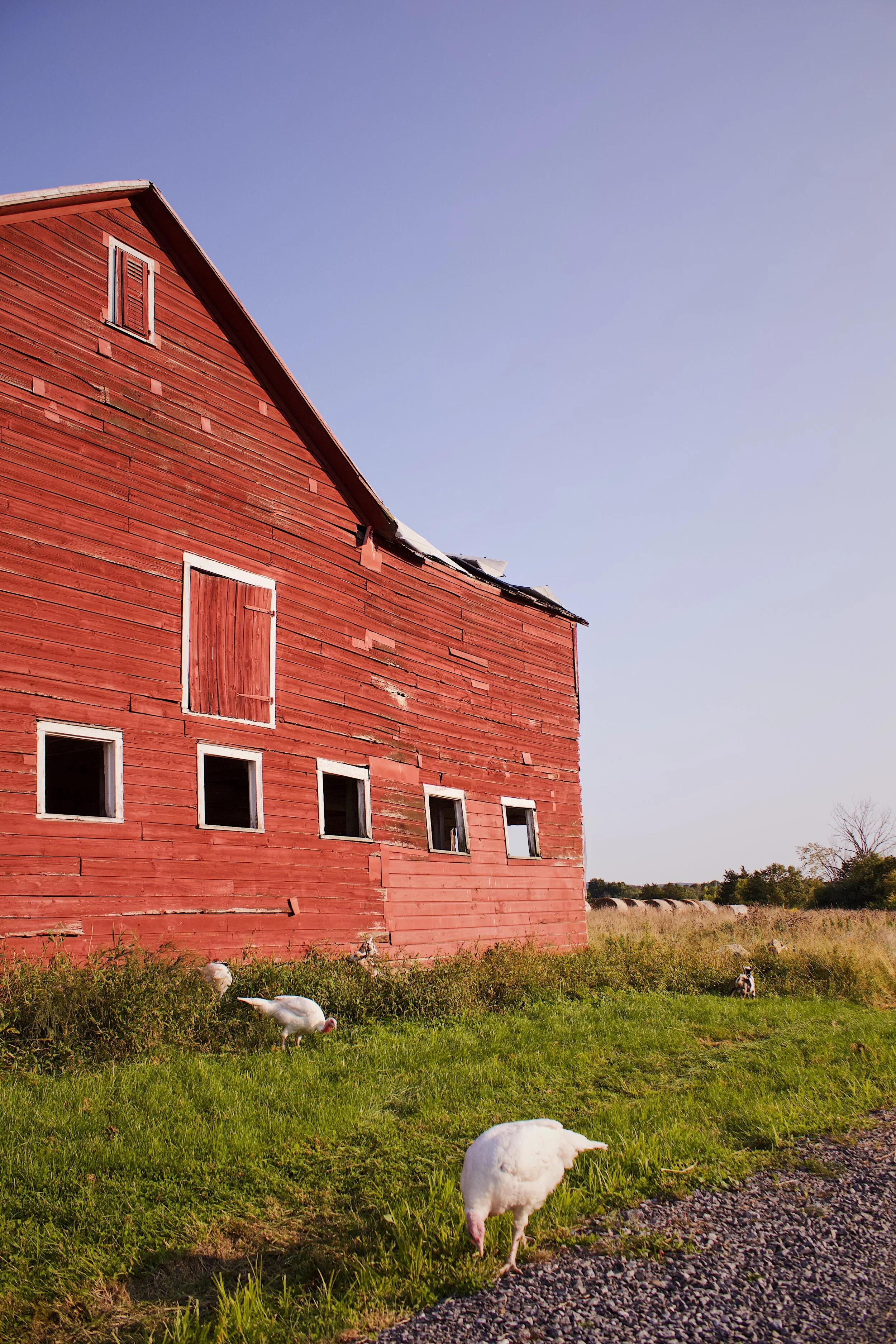 CLEAR CREEK FARM Hudson, NY