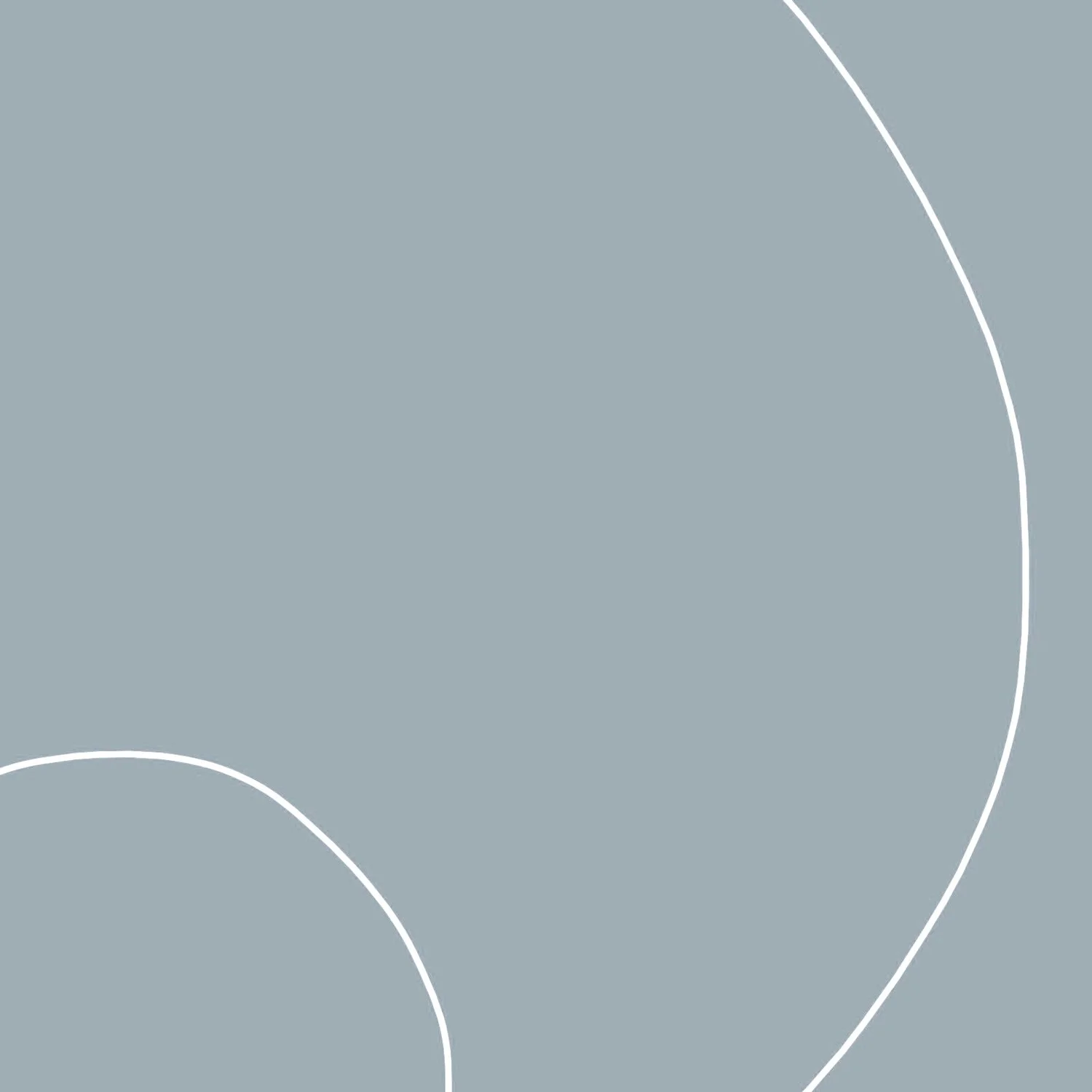 Jessica Rupp - Fine Art