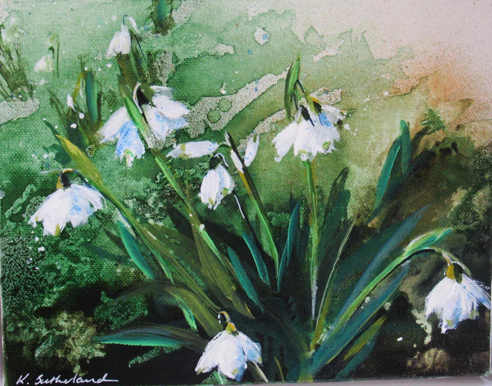 Still Life & Floral — Katherine Sutherland Art