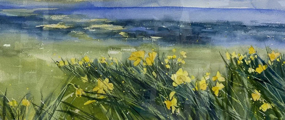 Shop Watercolours — Katherine Sutherland Art