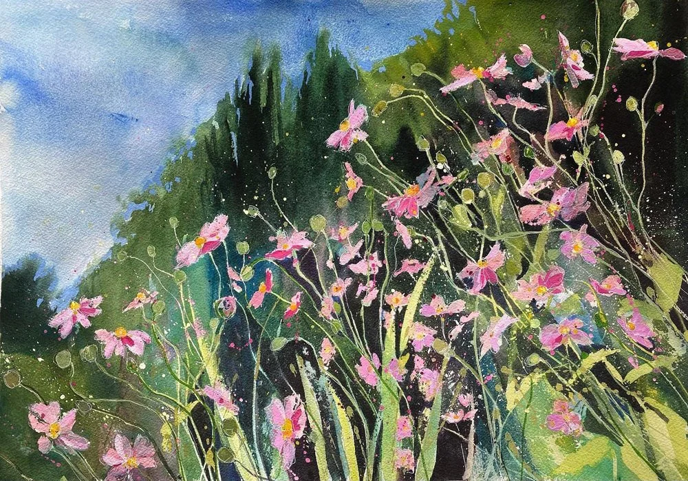 Shop Watercolours — Katherine Sutherland Art