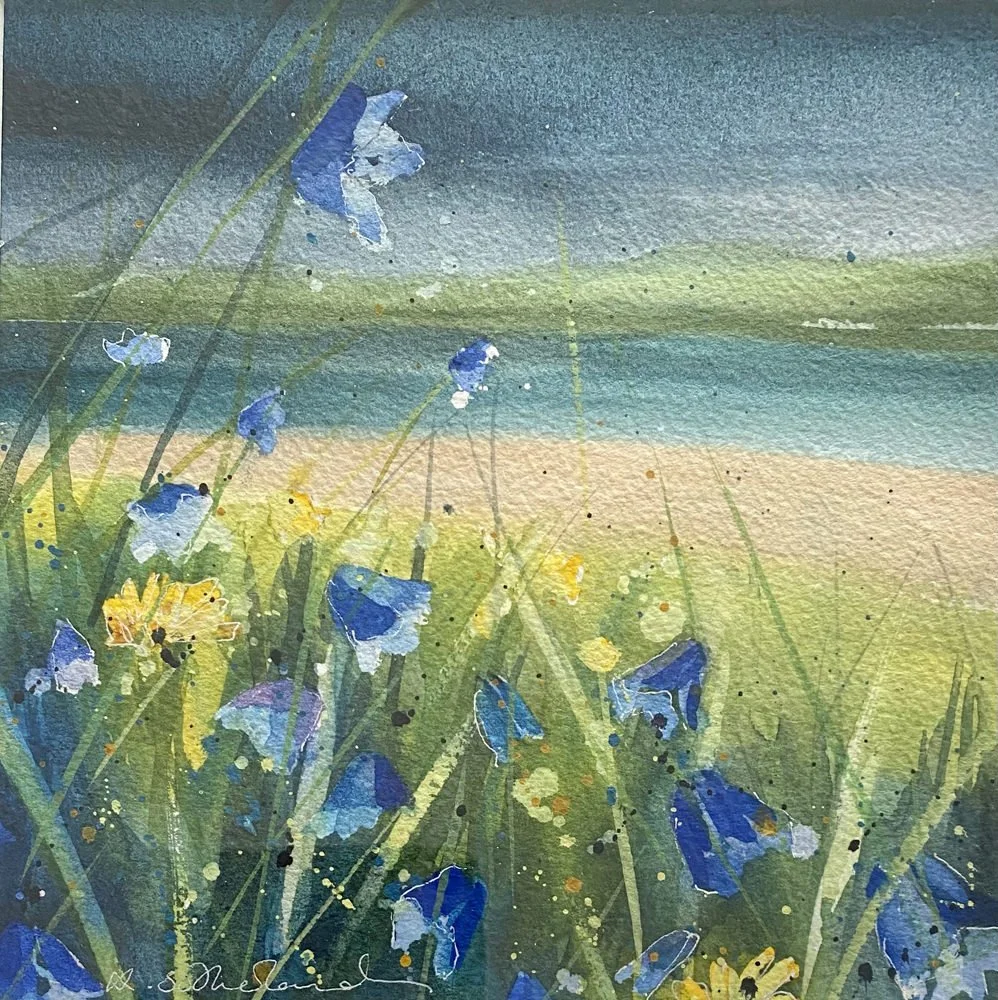 Shop Watercolours — Katherine Sutherland Art