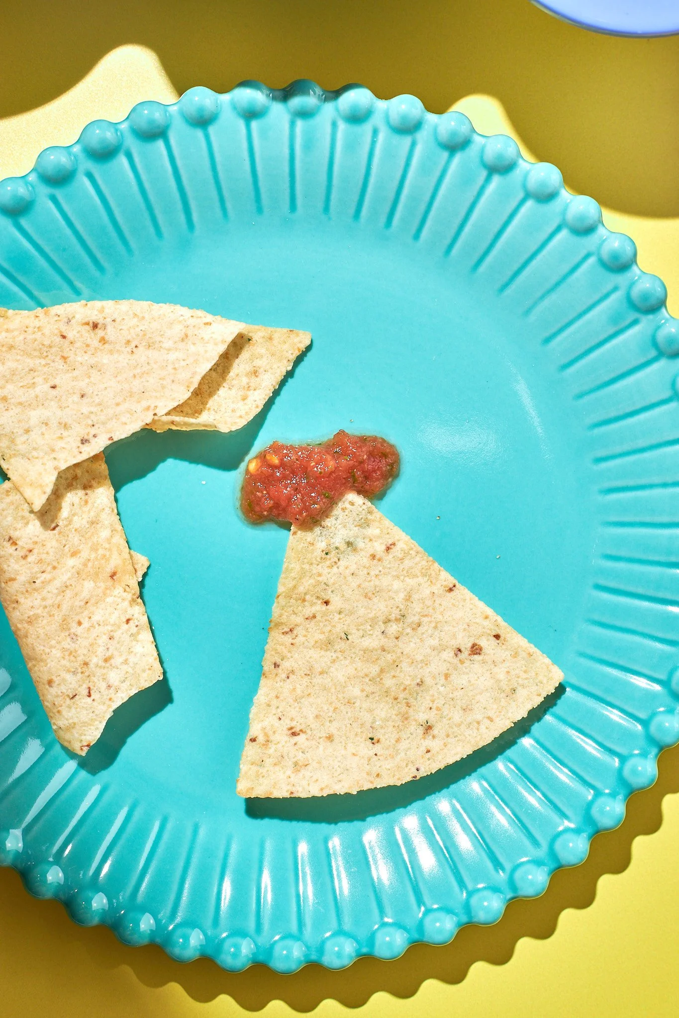 Spicy Homemade Salsa — JESSICA FURNISS