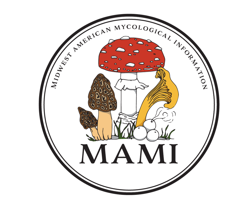 Michigan Poison & Drug Information Center | Get Expert Guidance