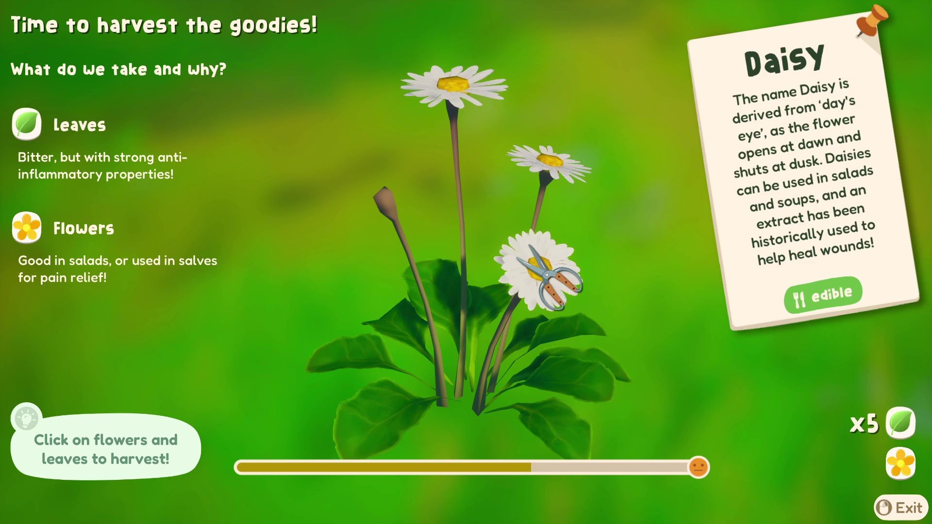 Out and About — Yaldi Games