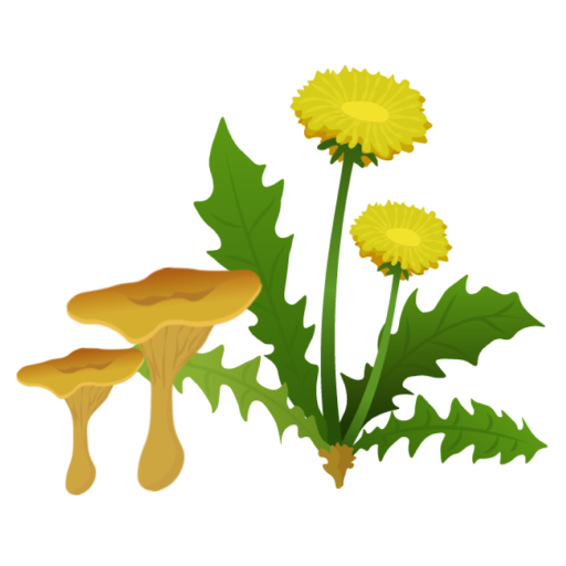 Out and About — Yaldi Games