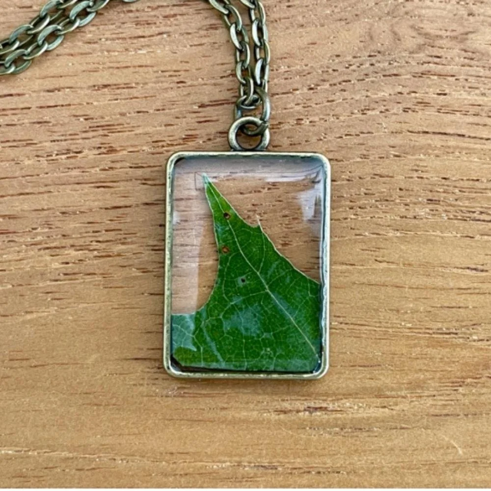 Shop/Store — PETER STEELE®