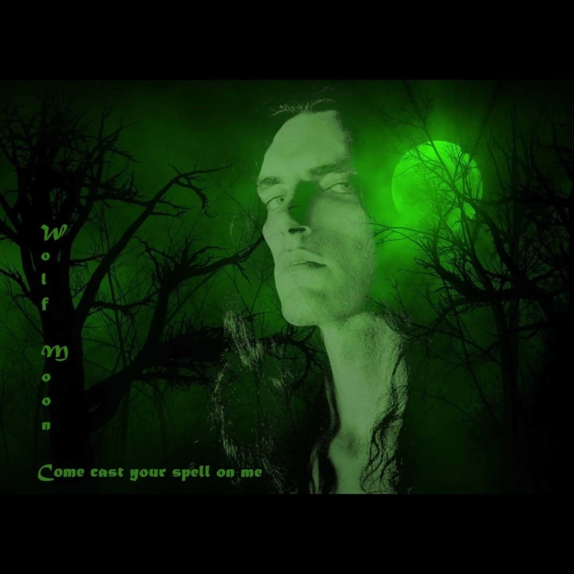 Shop/Store — PETER STEELE