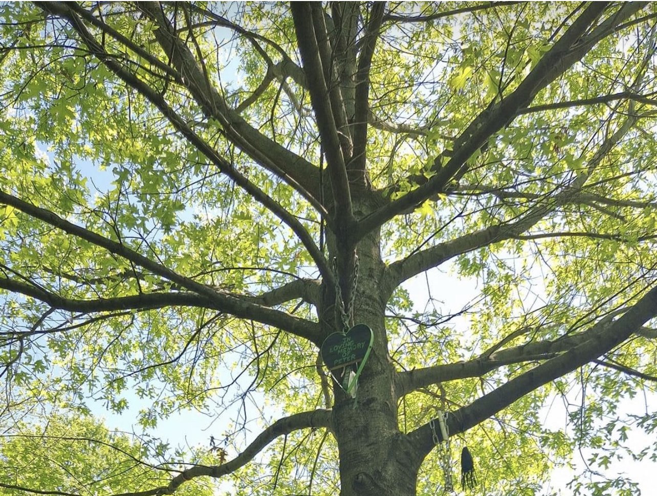 Shop/Store — PETER STEELE®