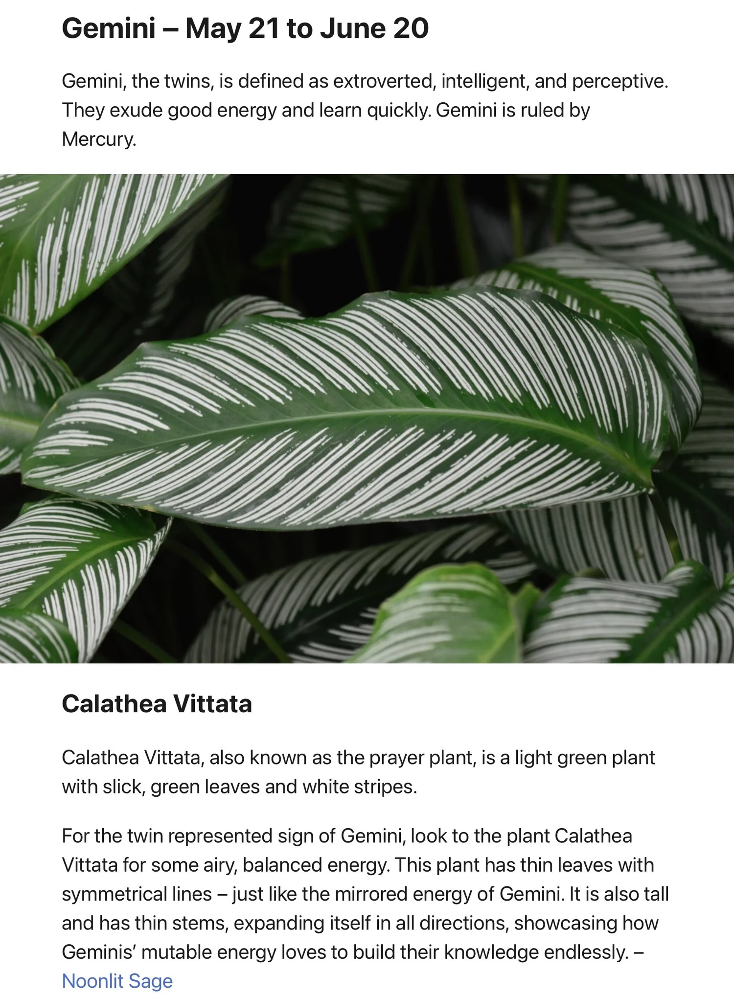 Plants Based on Your Zodiac Sign — Celestial Musings