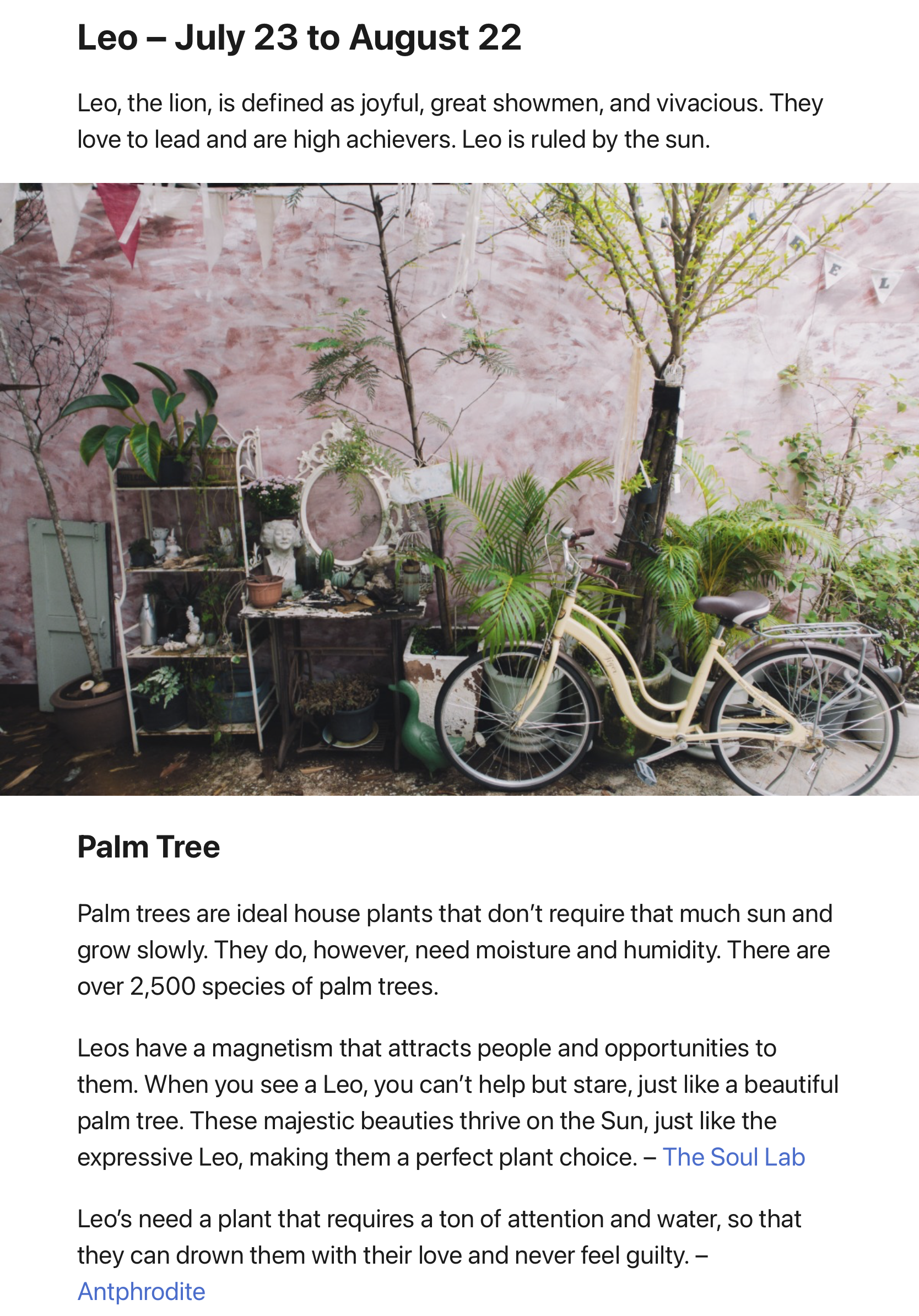 Plants Based on Your Zodiac Sign — Celestial Musings