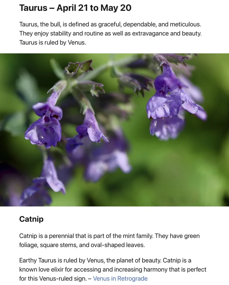 Plants Based on Your Zodiac Sign — Celestial Musings