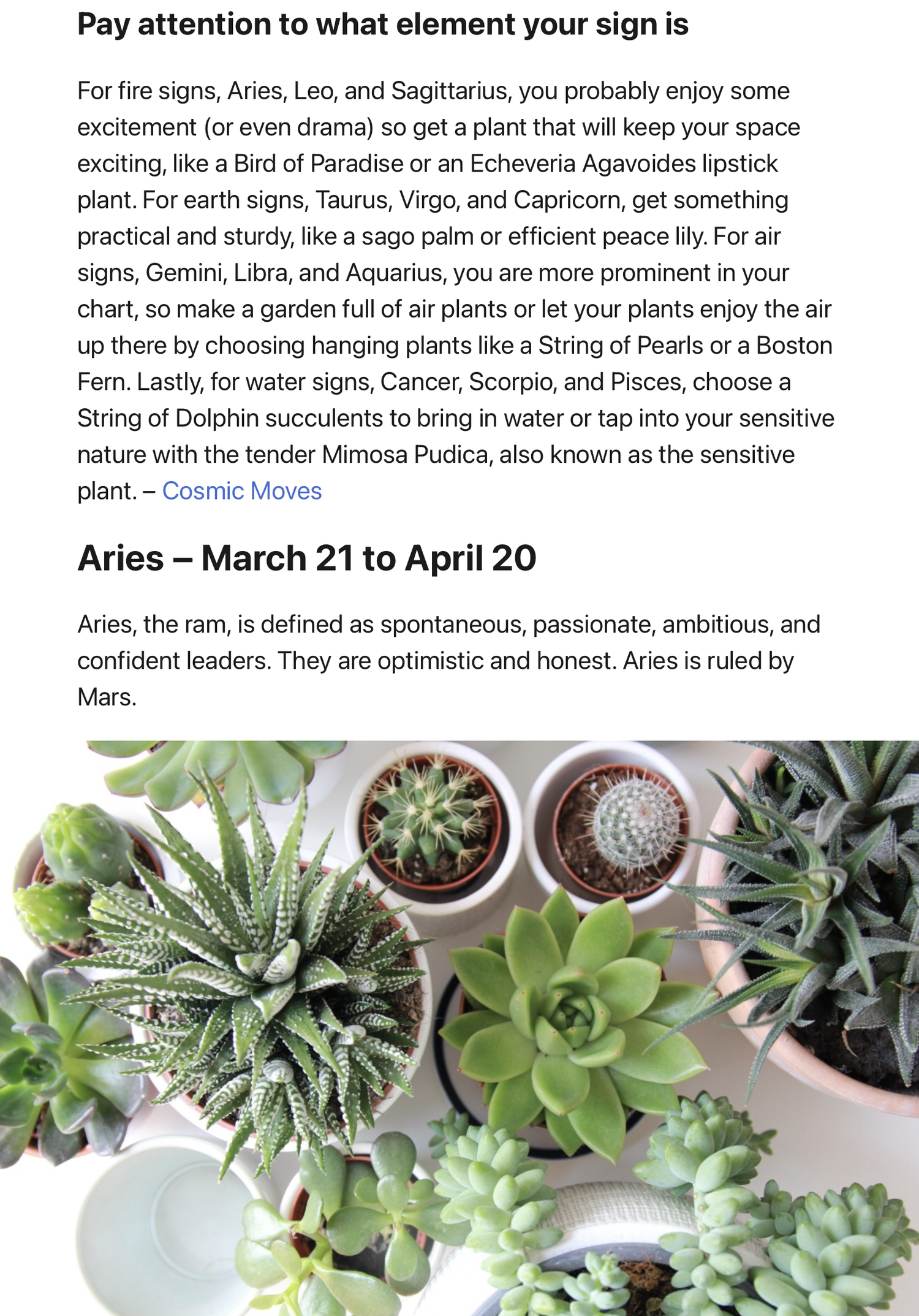 Plants Based on Your Zodiac Sign — Celestial Musings