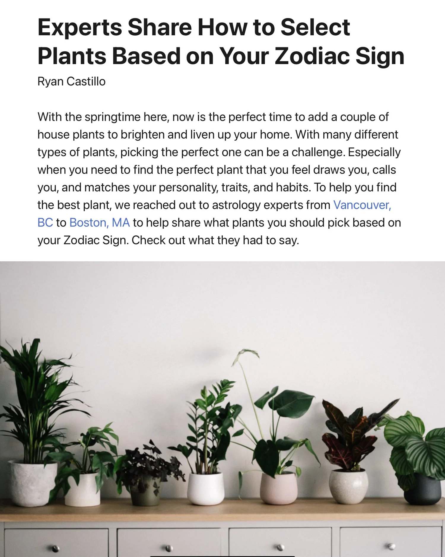 Plants Based on Your Zodiac Sign — Celestial Musings