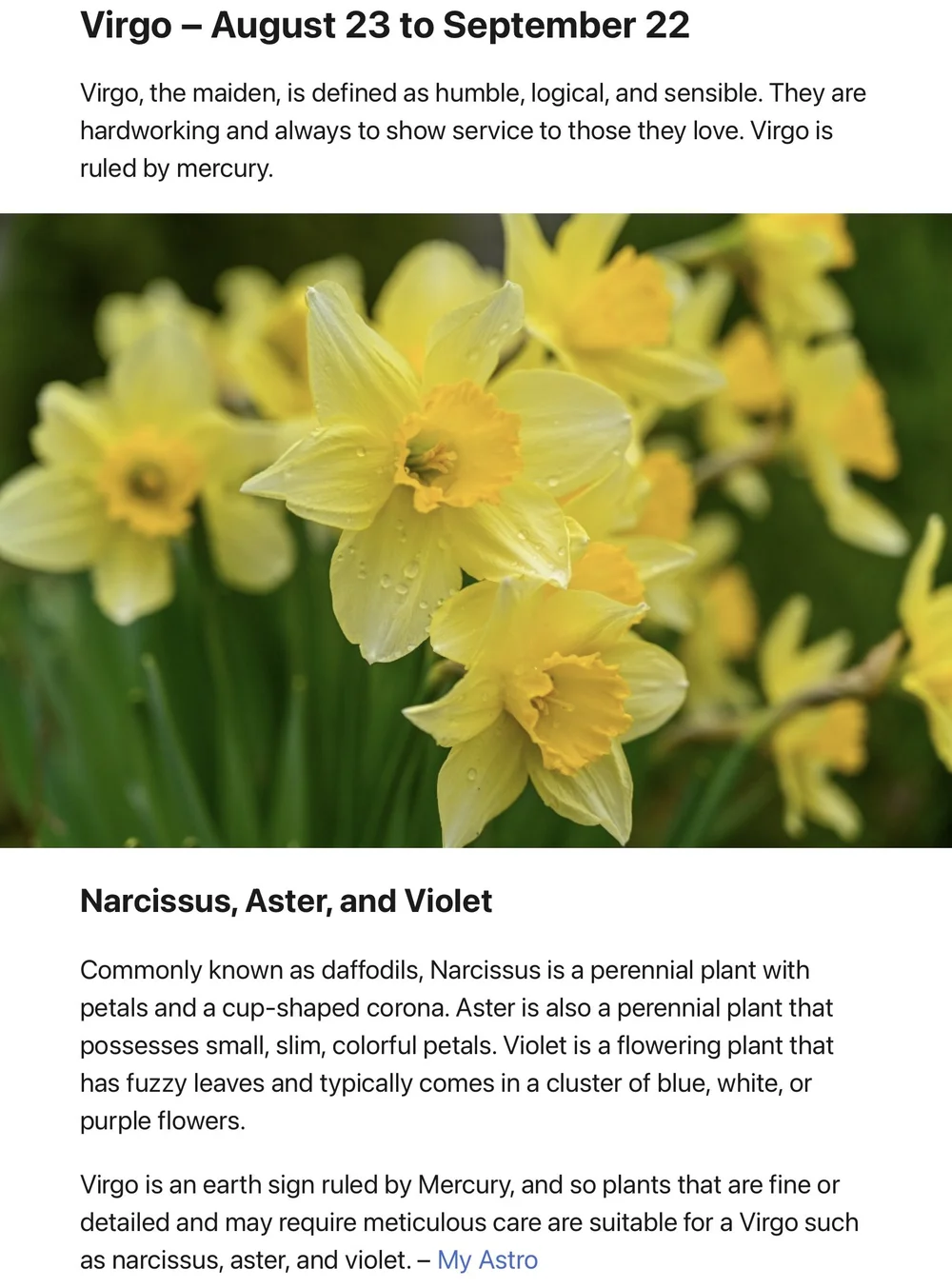 Plants Based on Your Zodiac Sign — Celestial Musings
