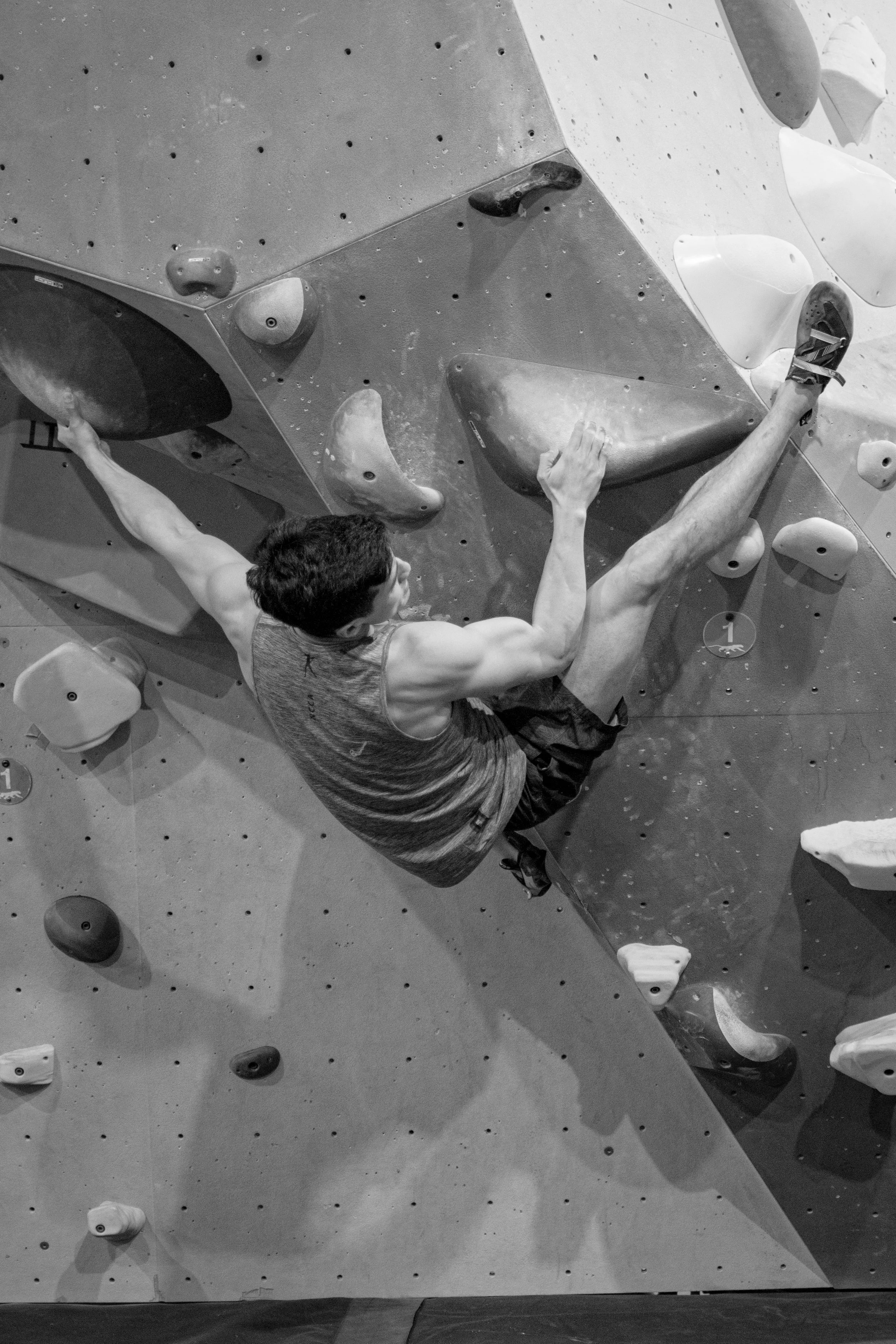Rock Jungle Climbing