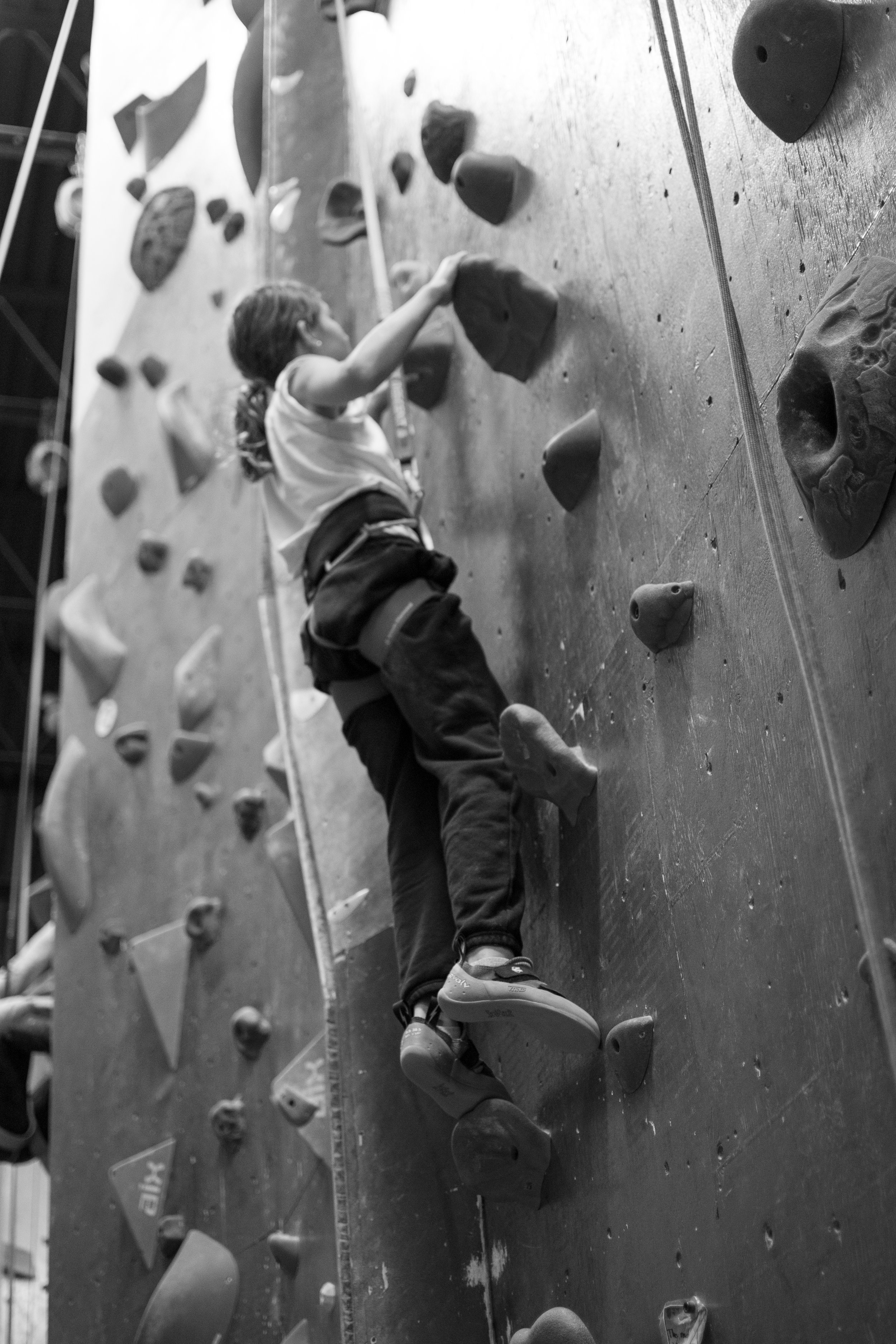 Rock Jungle Climbing
