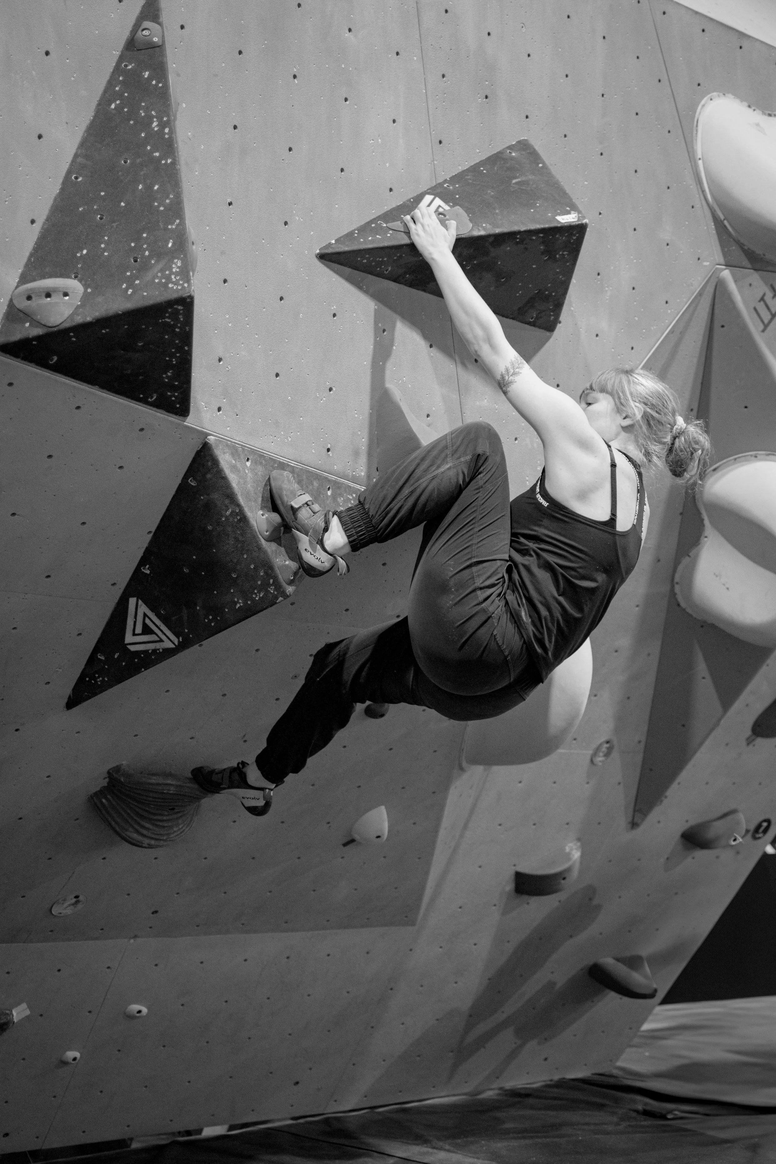 Rock Jungle Climbing