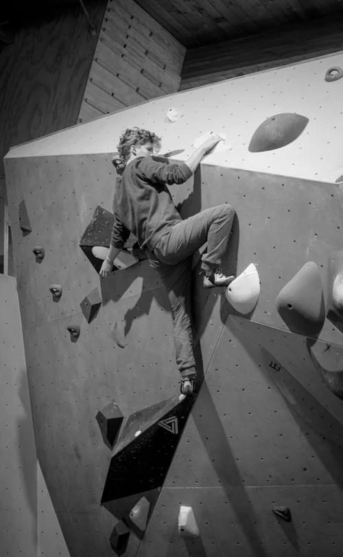 Rock Jungle Climbing