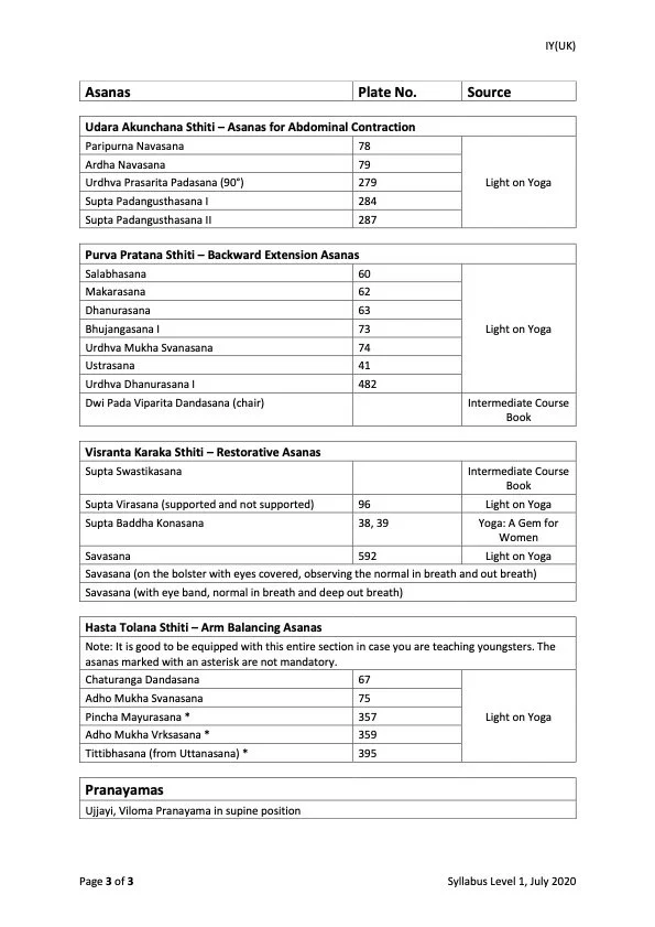 Iyengar Yoga Syllabus — Level 3 Iyengar Yoga Teacher Rachel Lovegrove