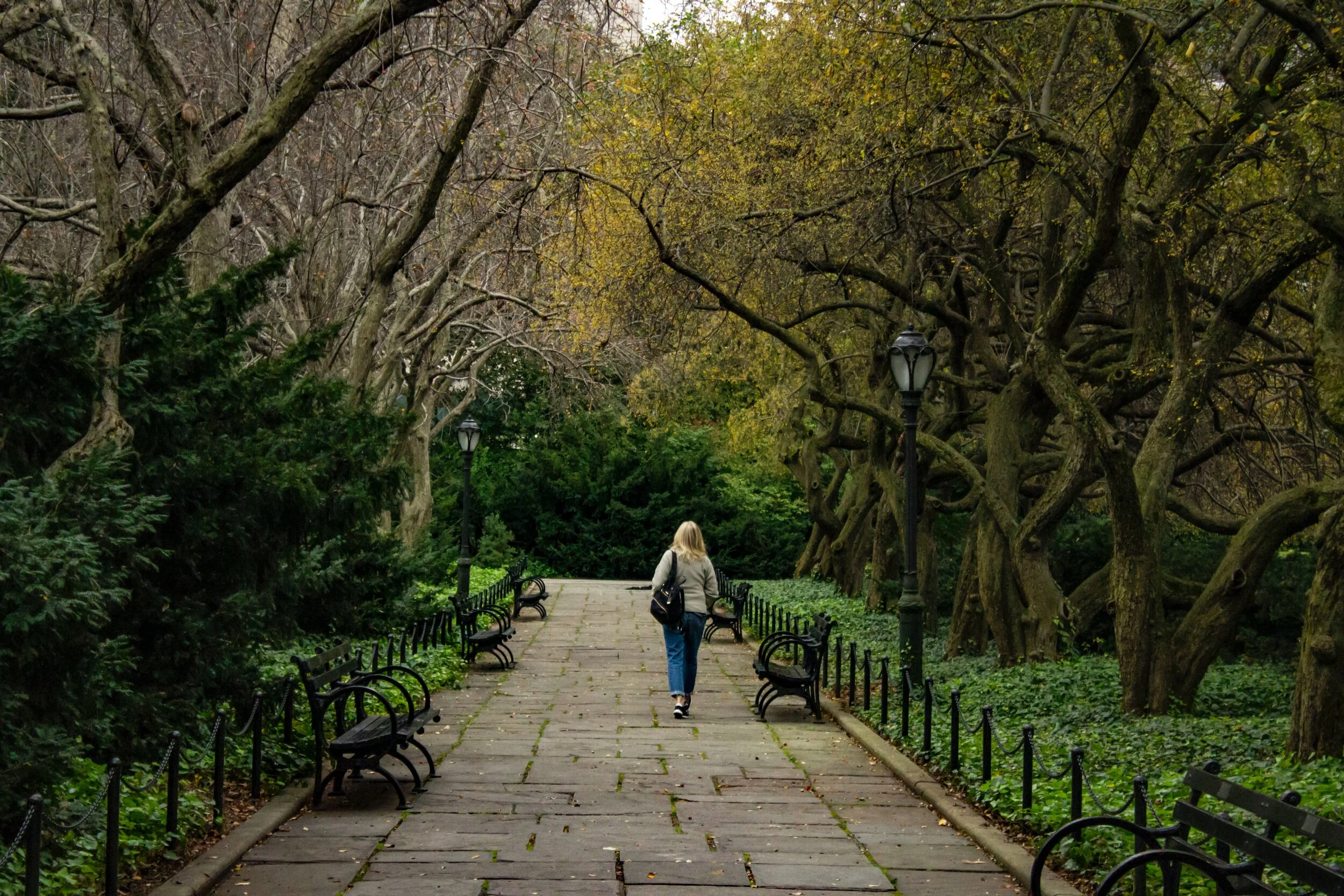 Jennifer Neely | Psychotherapist