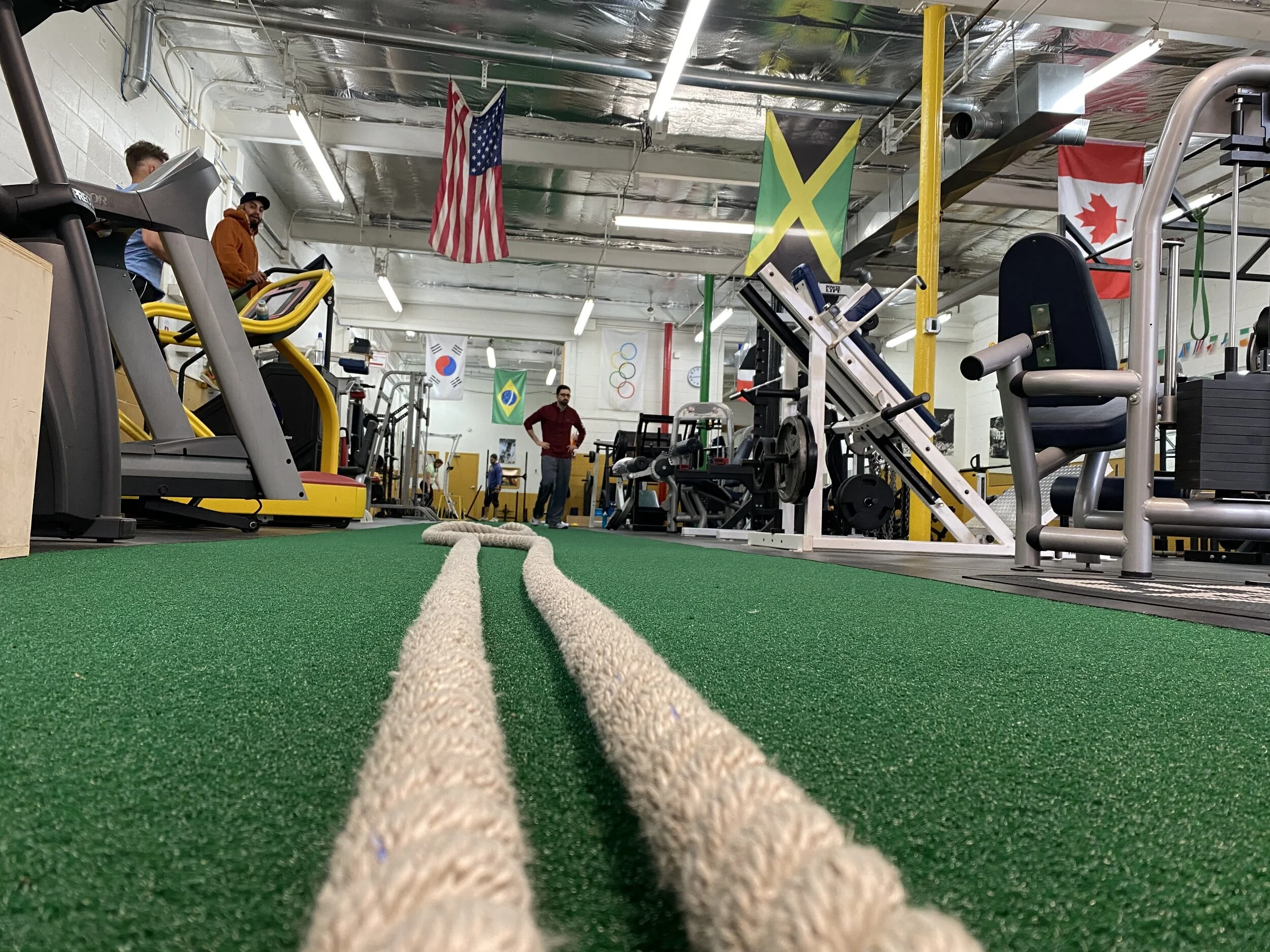 FitCo Gym Workout and Fitness Equipment — FitCo