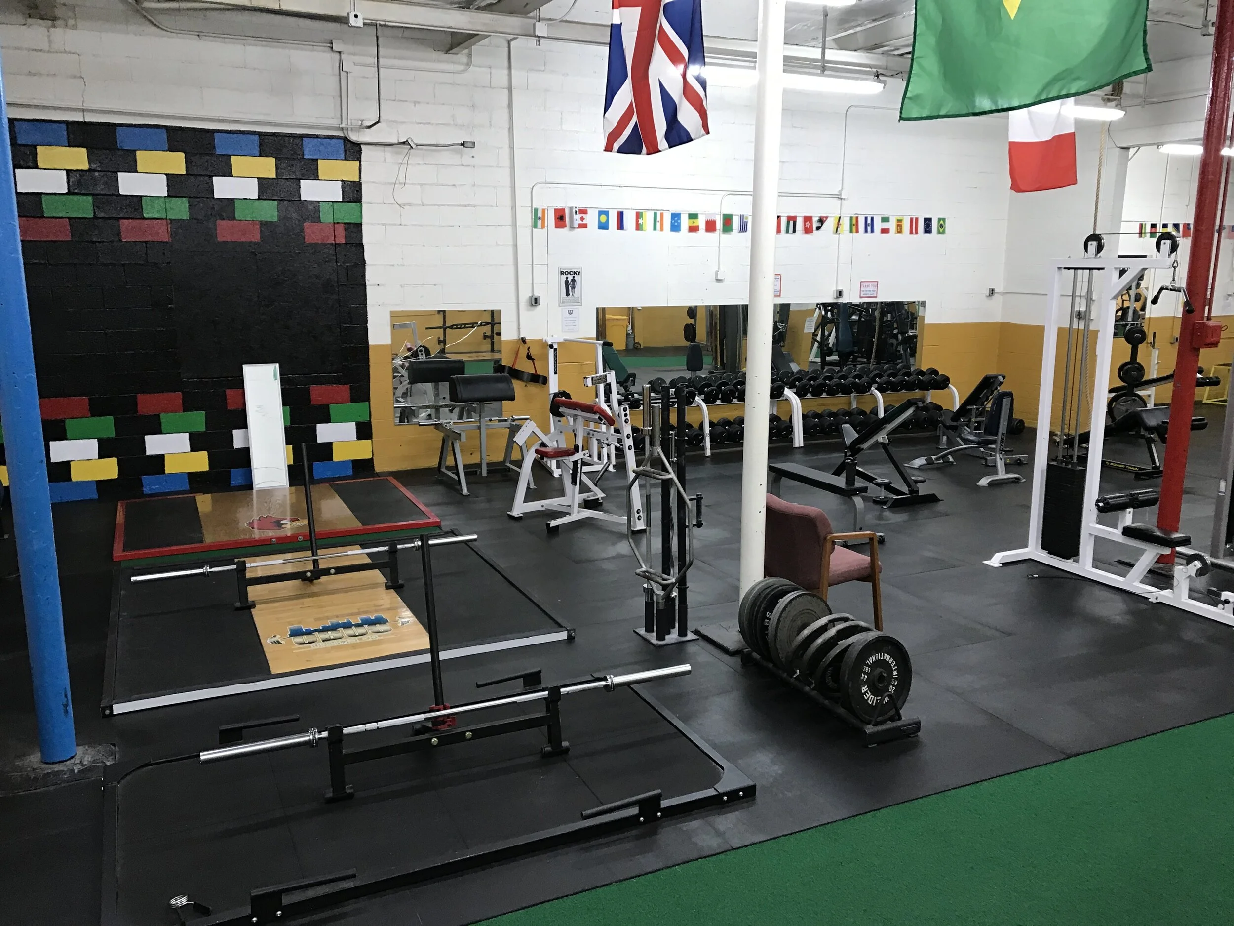 FitCo Gym Workout and Fitness Equipment — FitCo